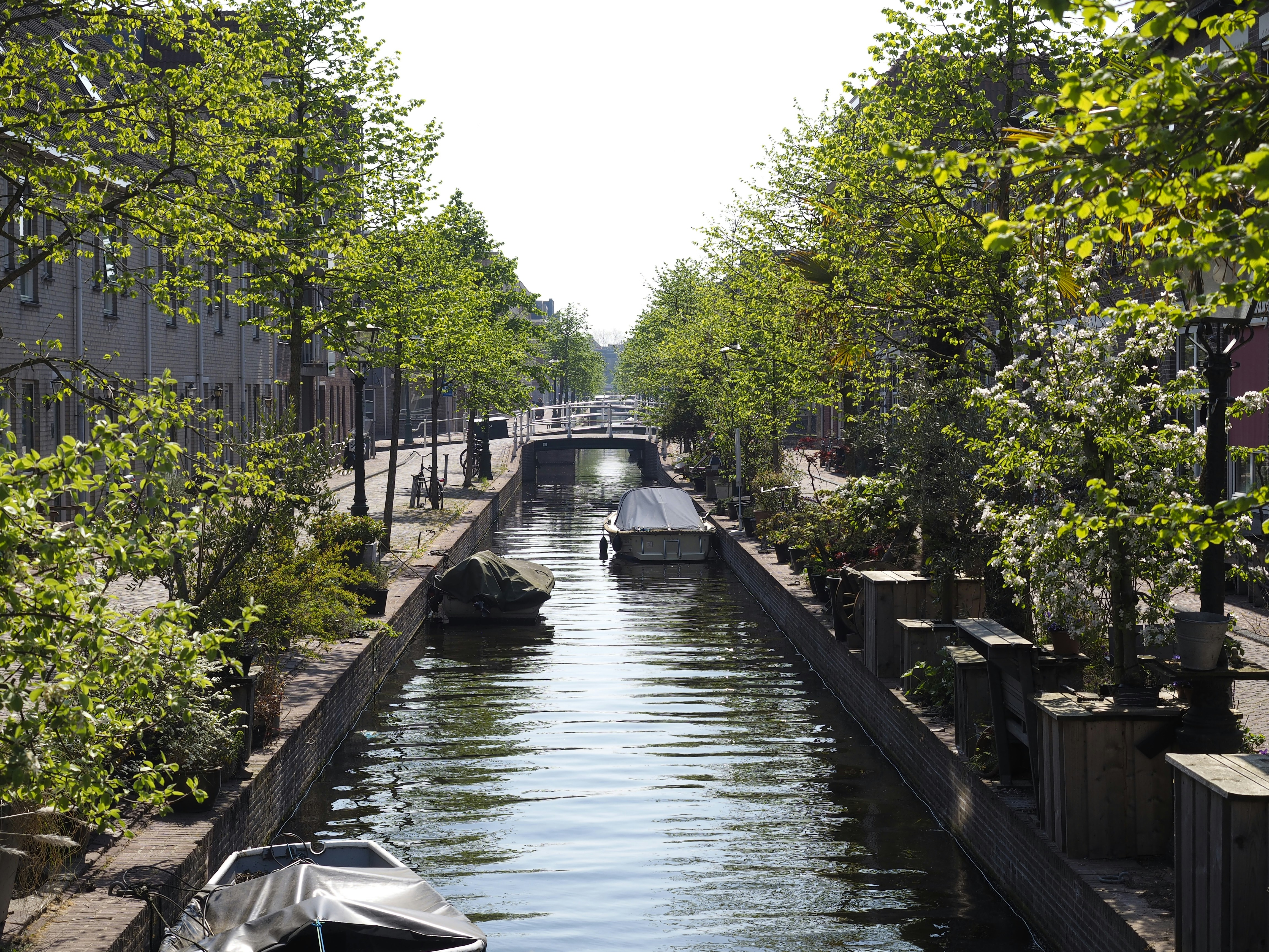 Lush greenery frames a calm canal, with boats gently moored along the banks, inviting a sense of peace in the urban landscape.