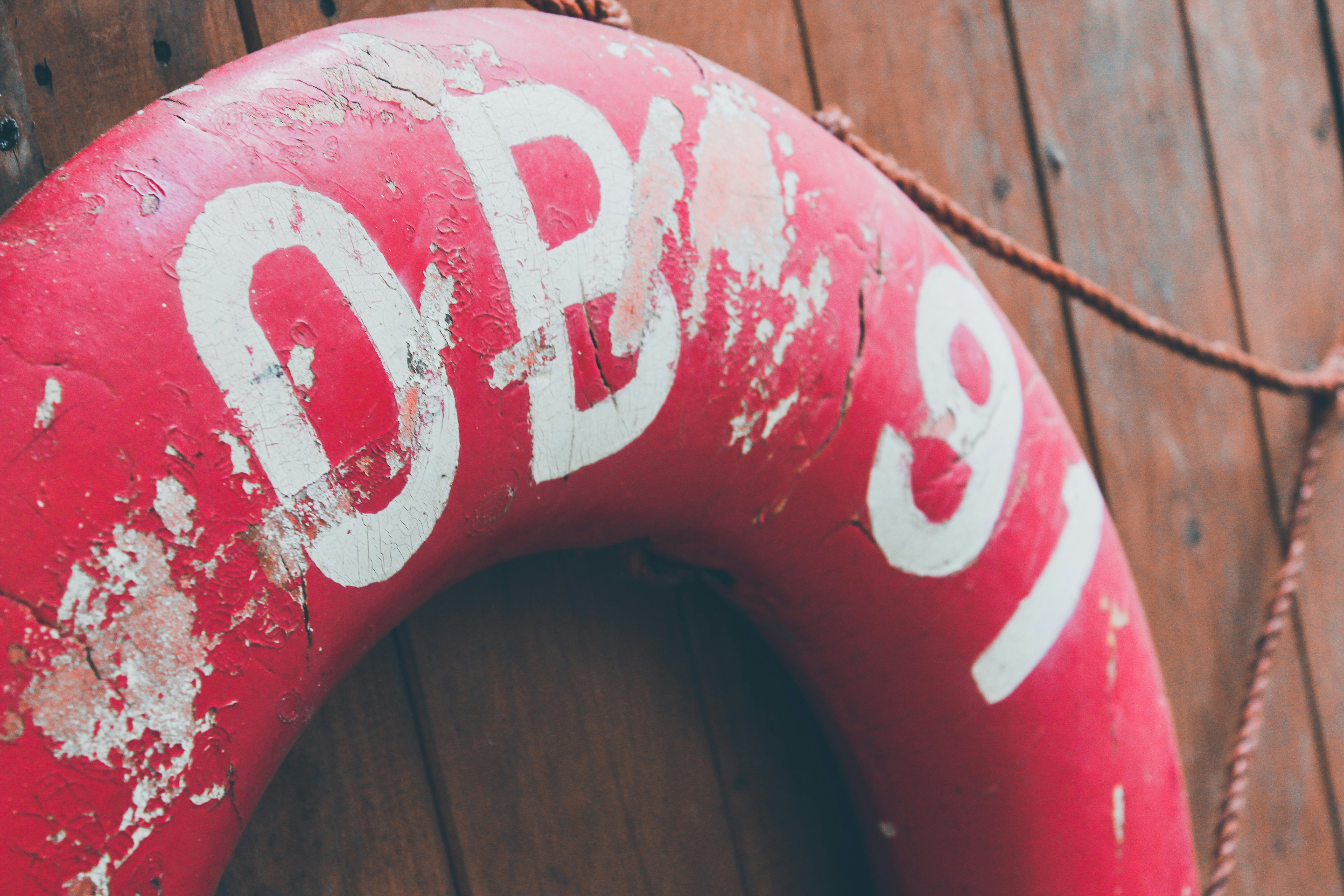 Red OB 91 life ring photo – Free Animal Image on Unsplash