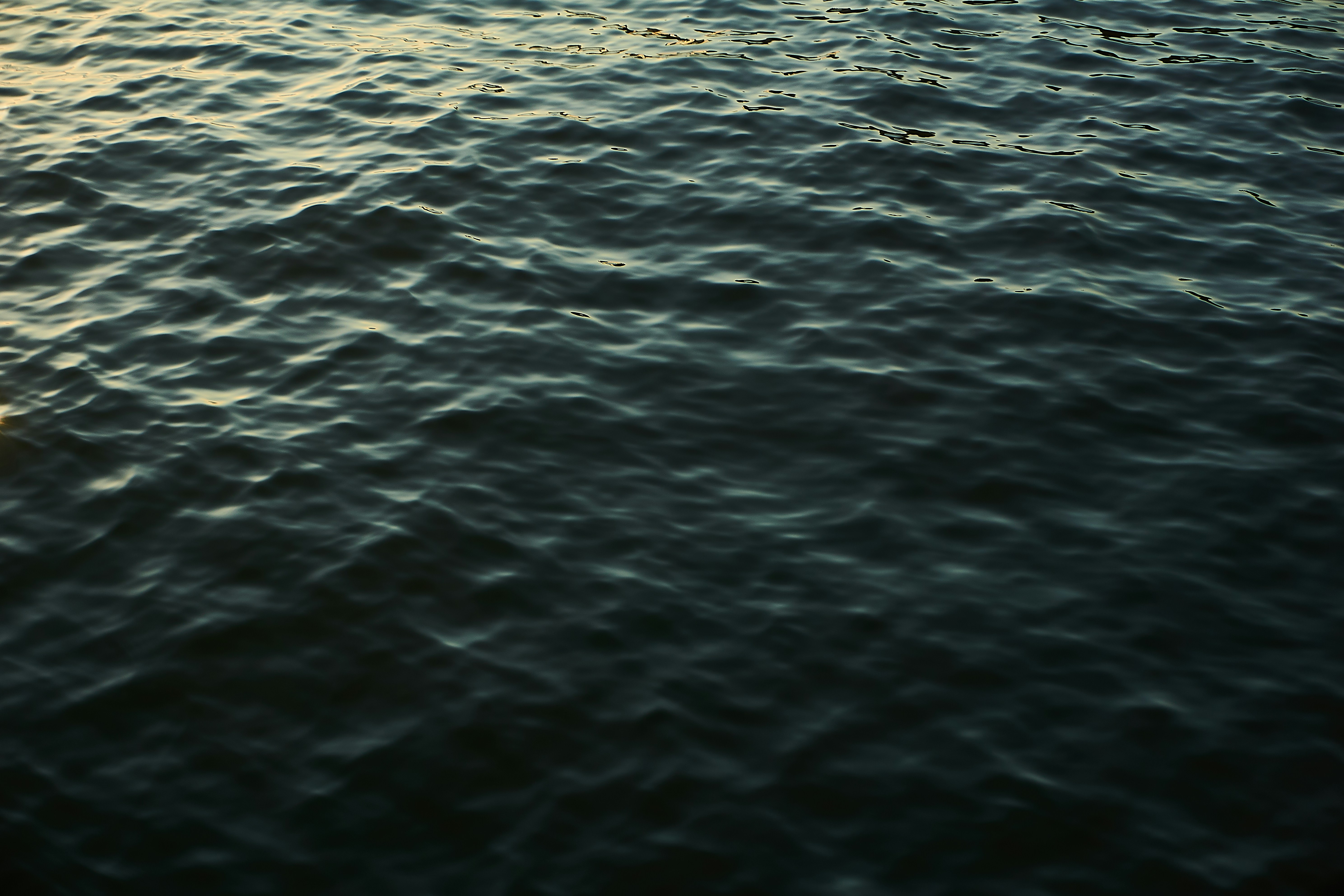 Gentle waves create a serene pattern on the surface of a dark body of water during twilight.