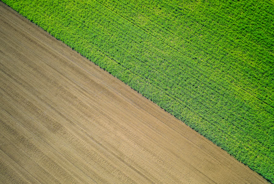 Aerial shot showing a diagonal separation between brown harvested soil and bright green crops, highlighting the contrast between fallow land and active cultivation. Drone perspective emphasizes pattern and texture in an agricultural landscape.