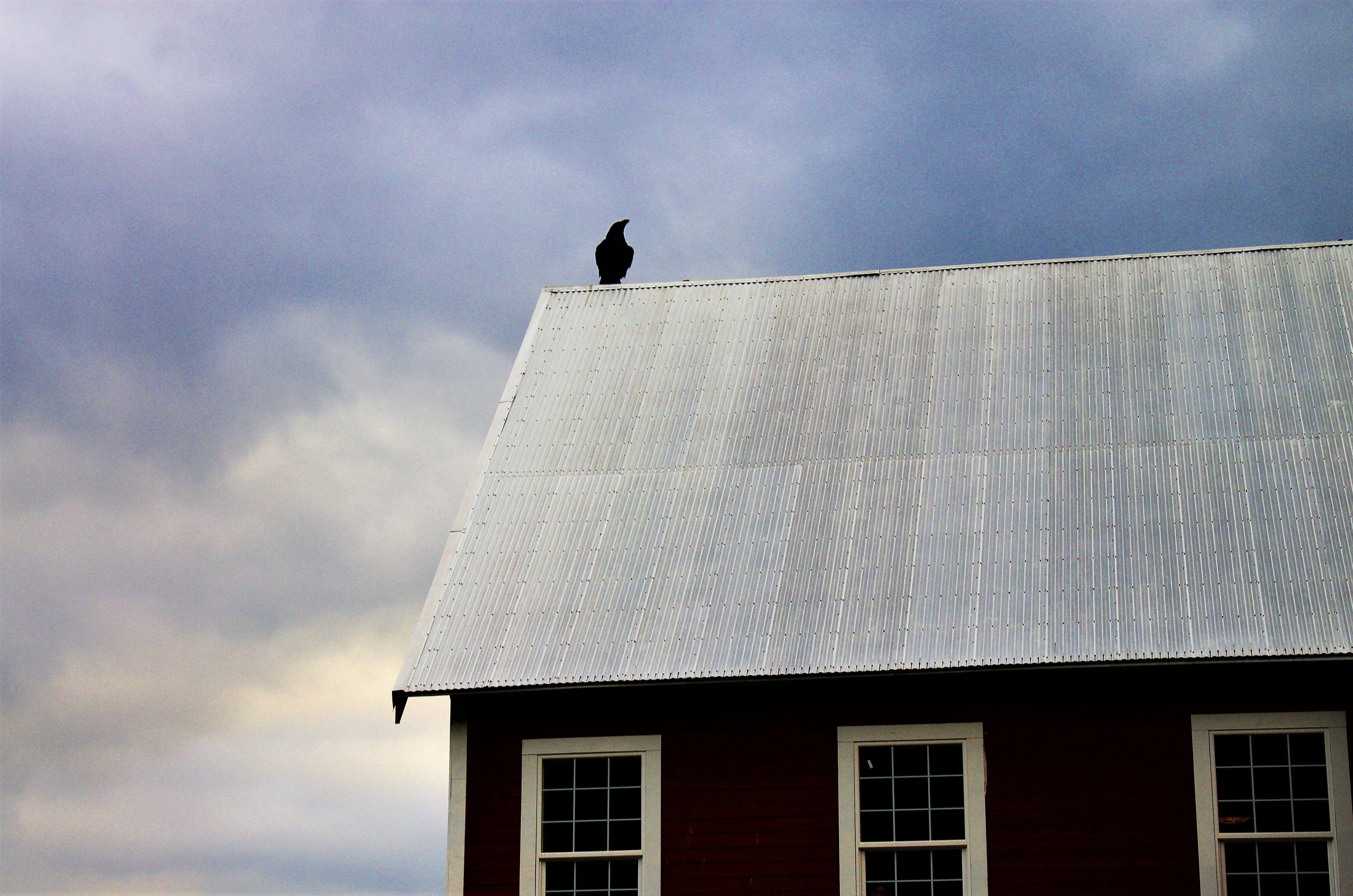 A raven stands atop a barn roof, silhouetted against a moody sky filled with clouds. The rustic structure contrasts with the dramatic backdrop.