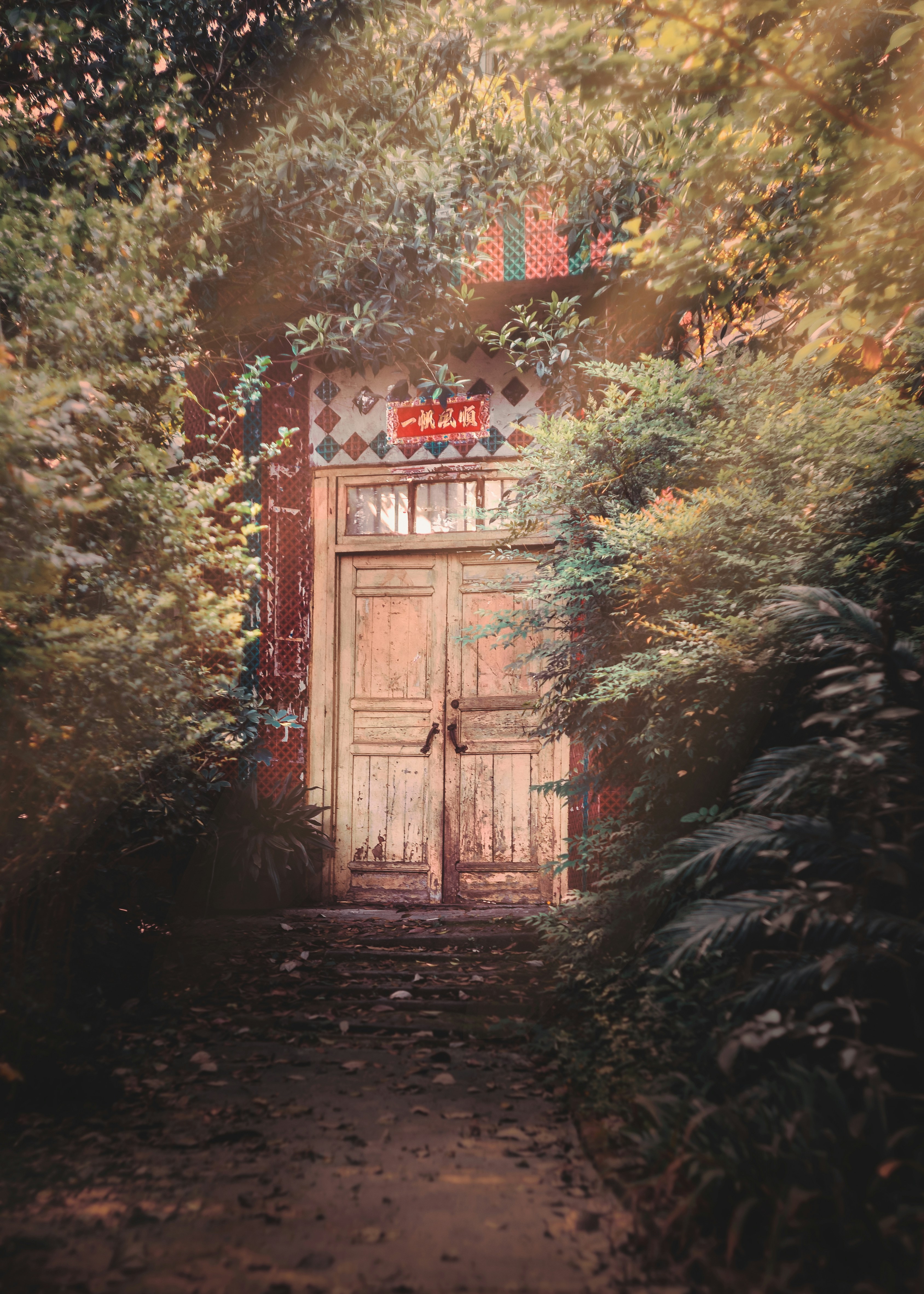 brown wooden door between green trees