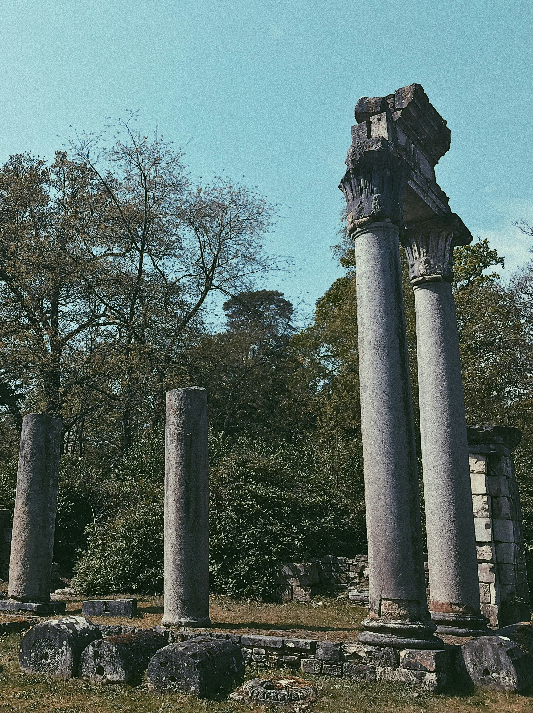 Ruined stone columns stand amidst overgrown greenery under a pale blue sky.