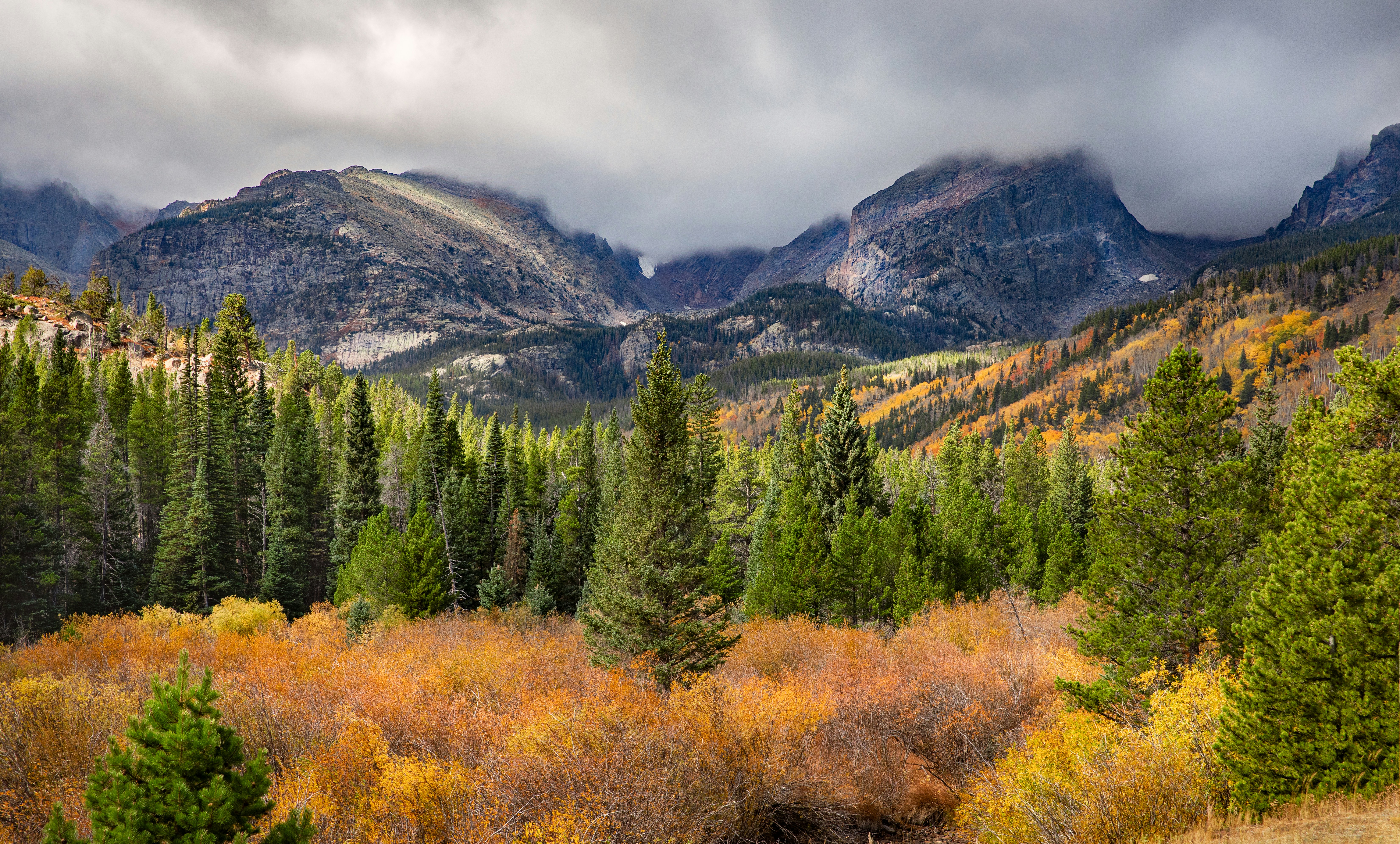 This photo was taken just off of Storm Peak Trail in Rocky Mountain National Park.  The weather was moving in as it often does in the afternoon and wanted to capture the moody sky along with the vibrant fall colors. | green trees