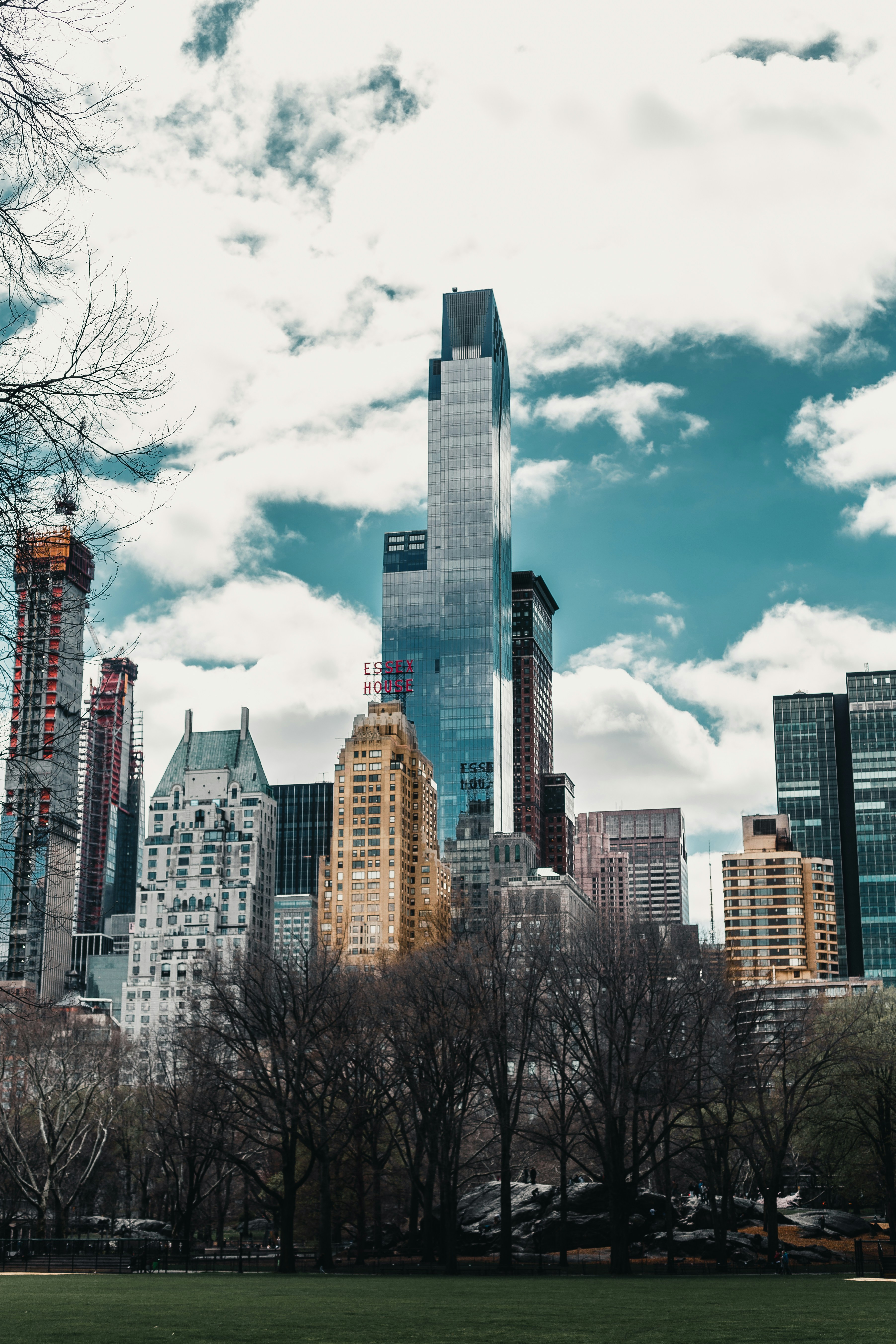 High rise buildings near bare trees at daytime photo – Free Office ...