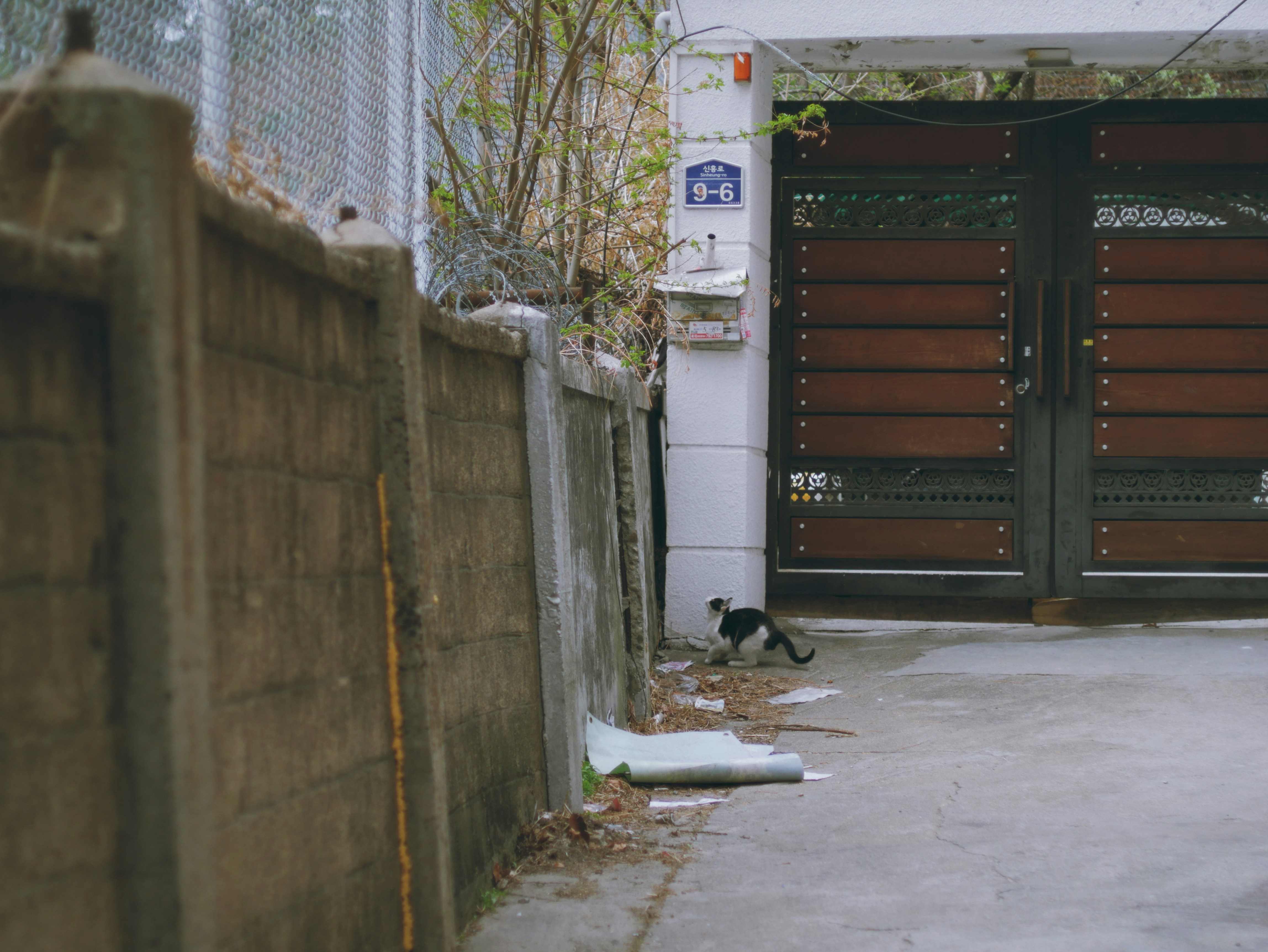 closed brown gates
