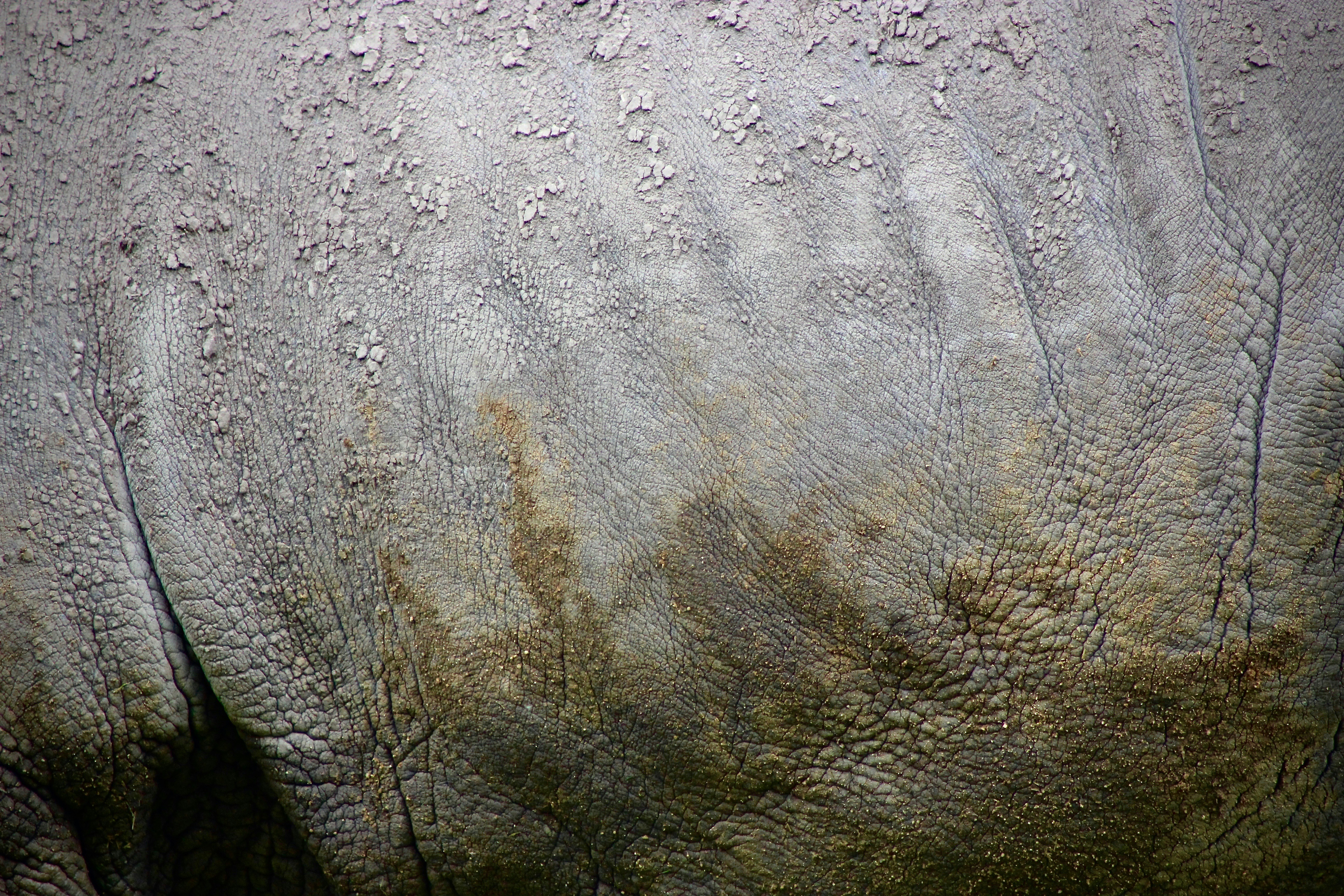 Photo by Valentin Jorel with Canon EOS 600D