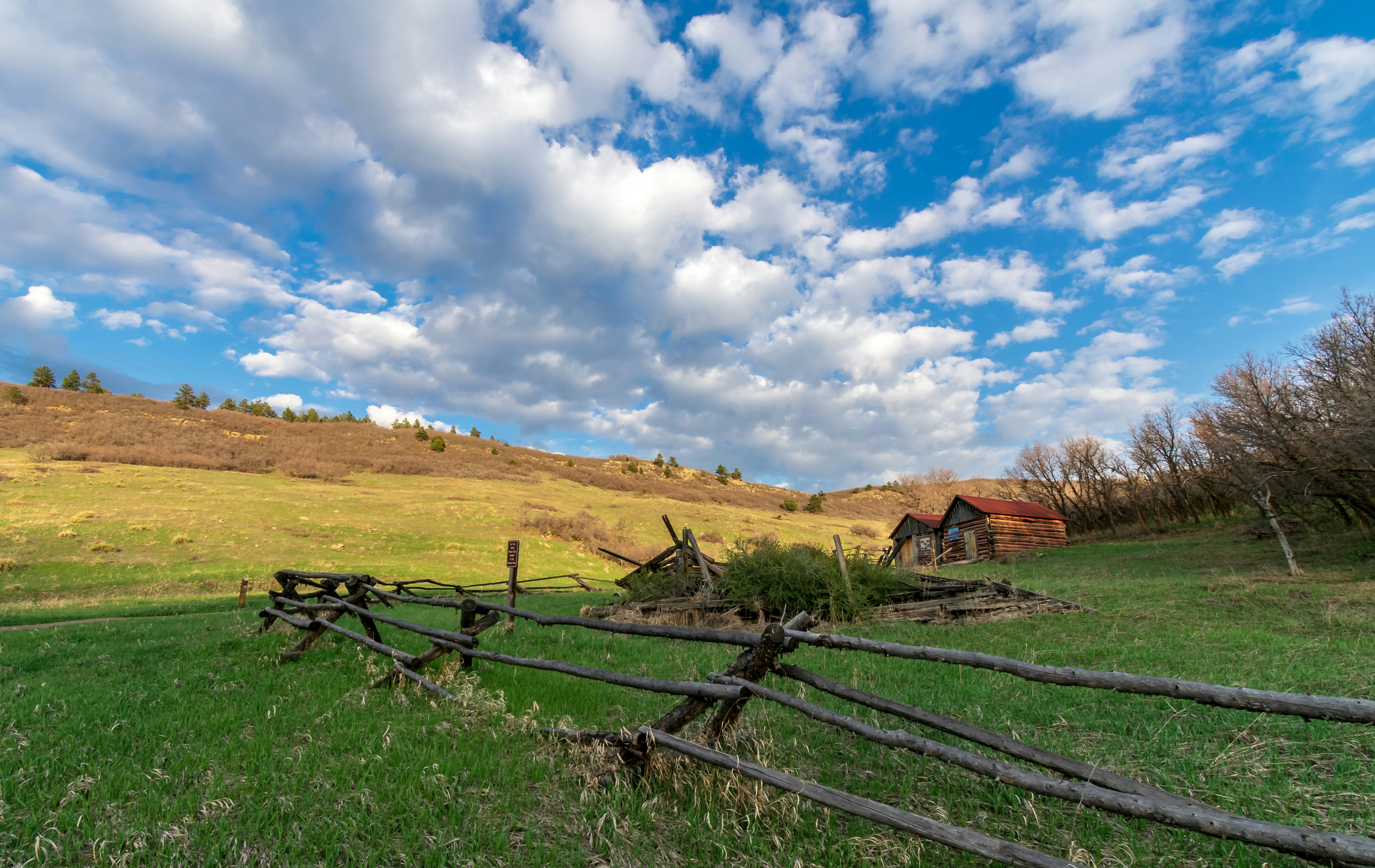 Two buildings near bare trees photo – Free Nature Image on Unsplash