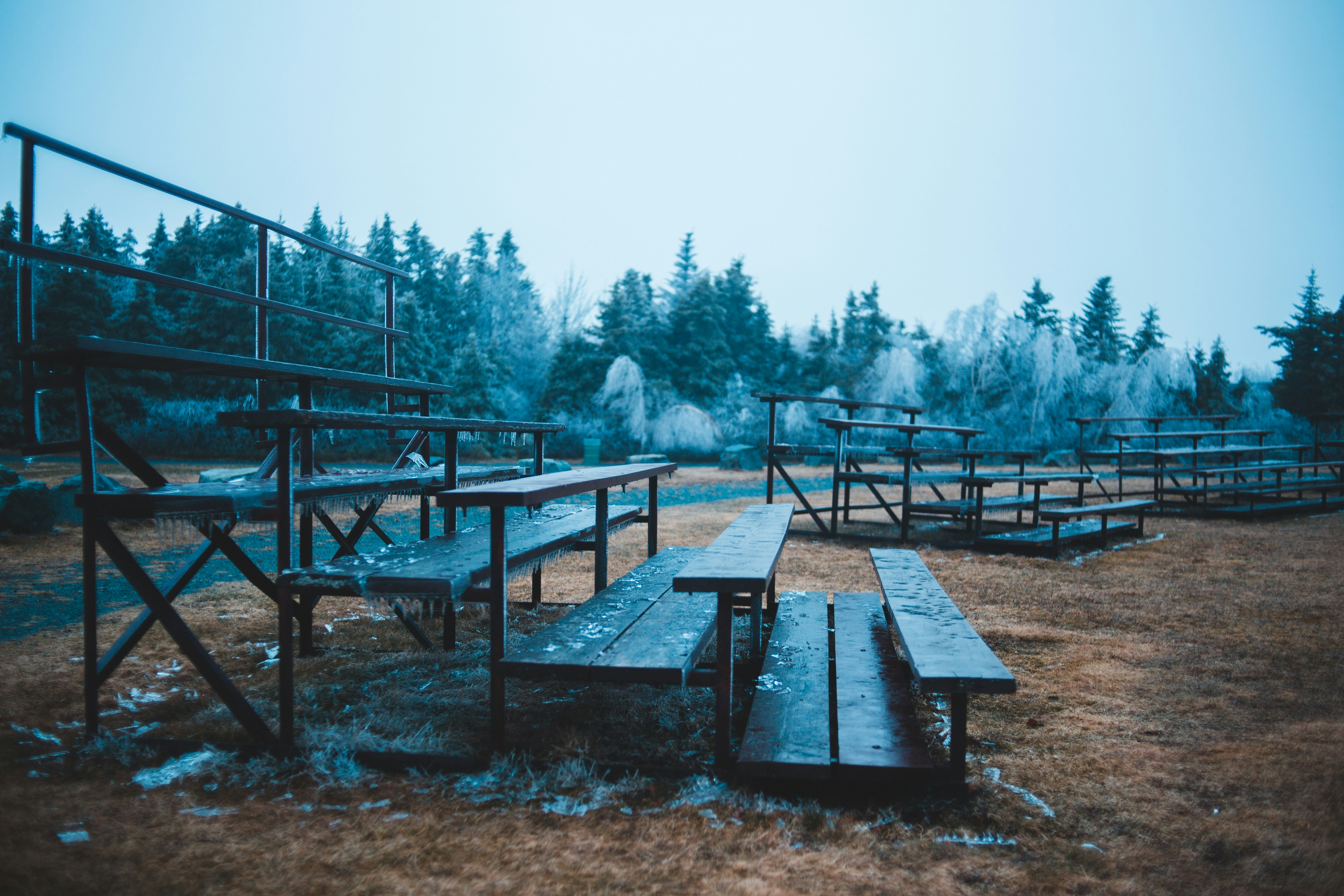 Blue Silence on Weathered Bleachers Amid Frosty Pines