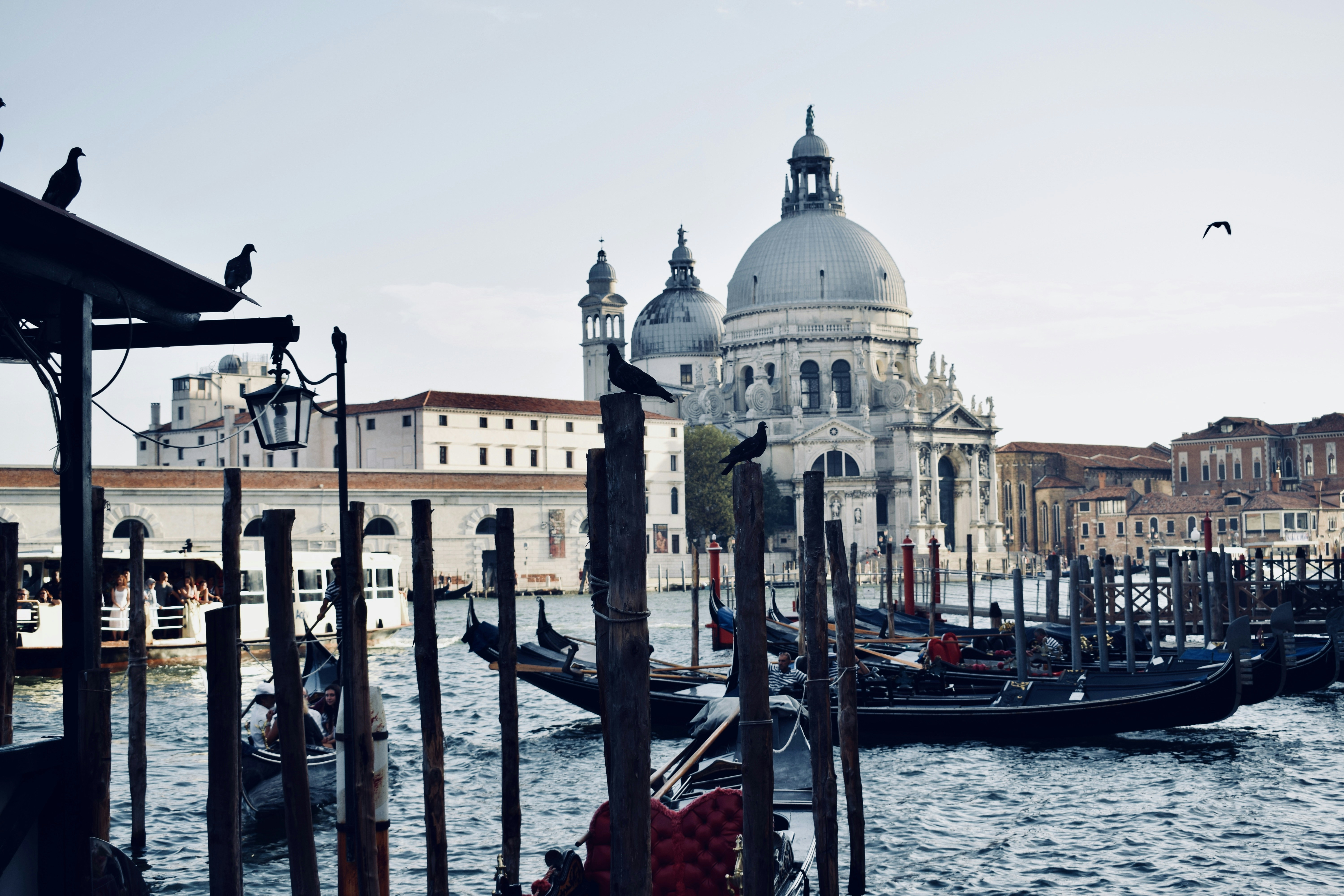 Gondolas rest on the Grand Canal with the Basilica of Santa Maria della Salute in the background under a clear sky.