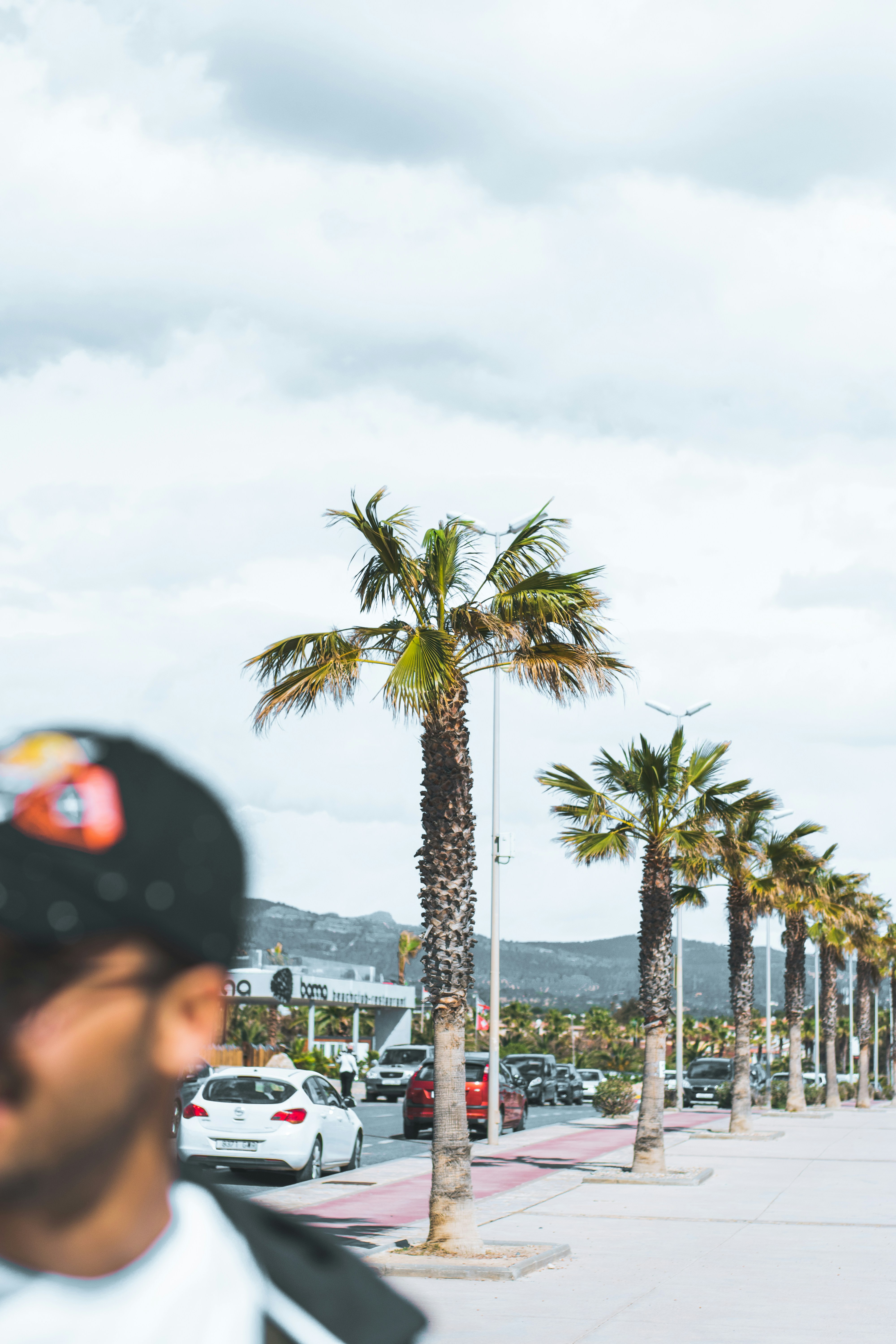 Palm-Row Boulevard: Depth and Motion on a Coastal Street