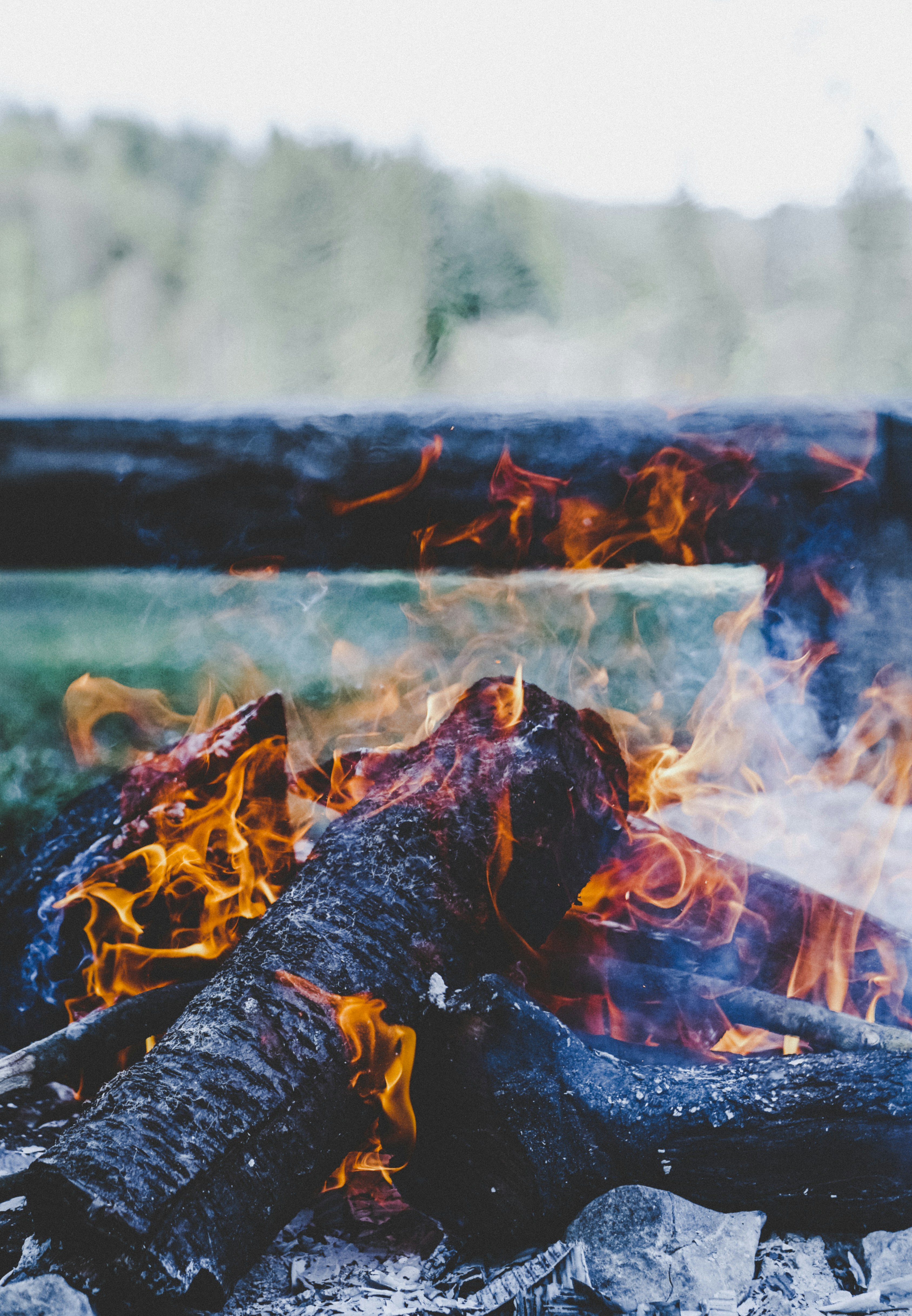 Bushcraft Pictures [HD] | Download Free Images on Unsplash