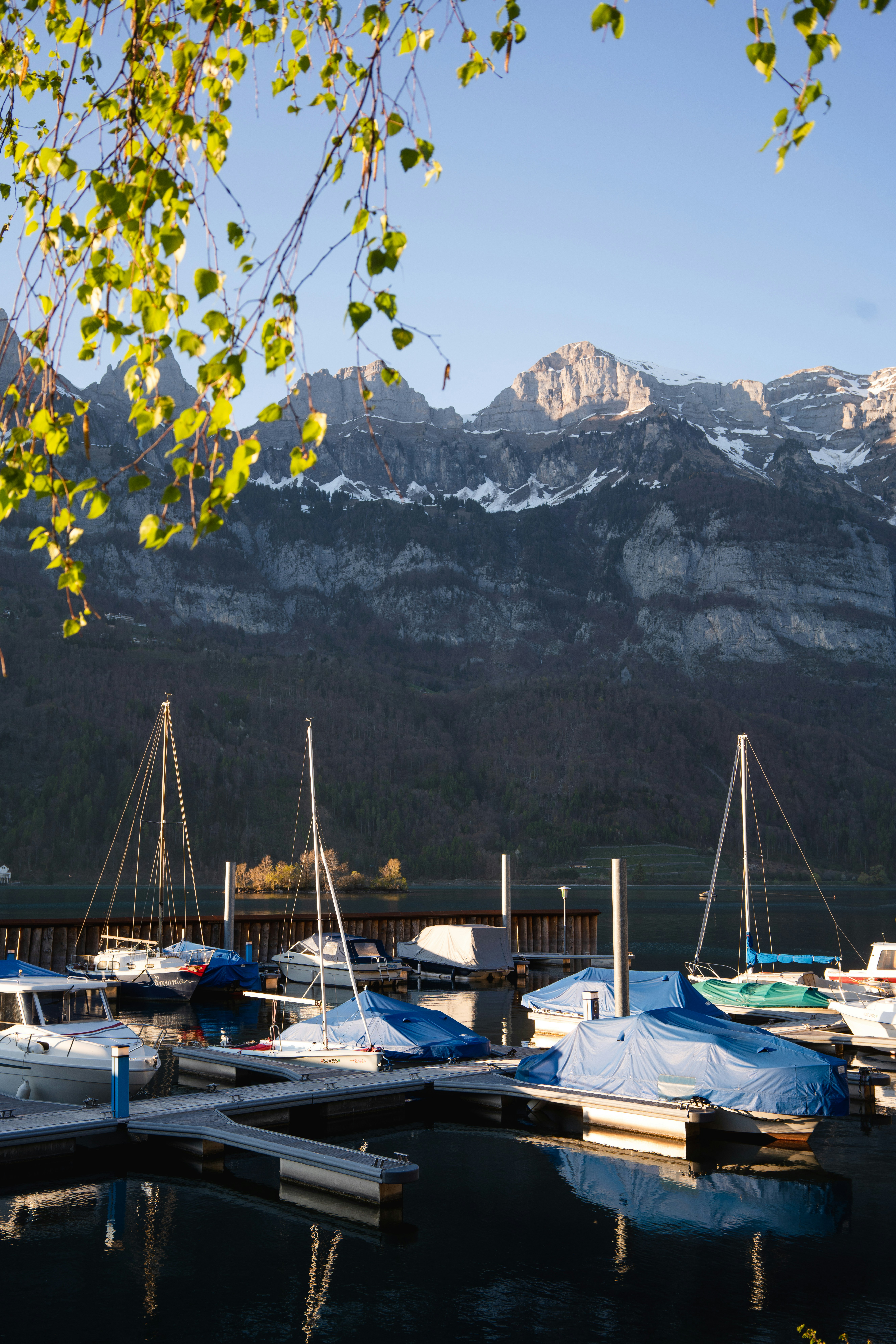 Snow-Trimmed Peaks Embrace a Quiet Lakeside Marina