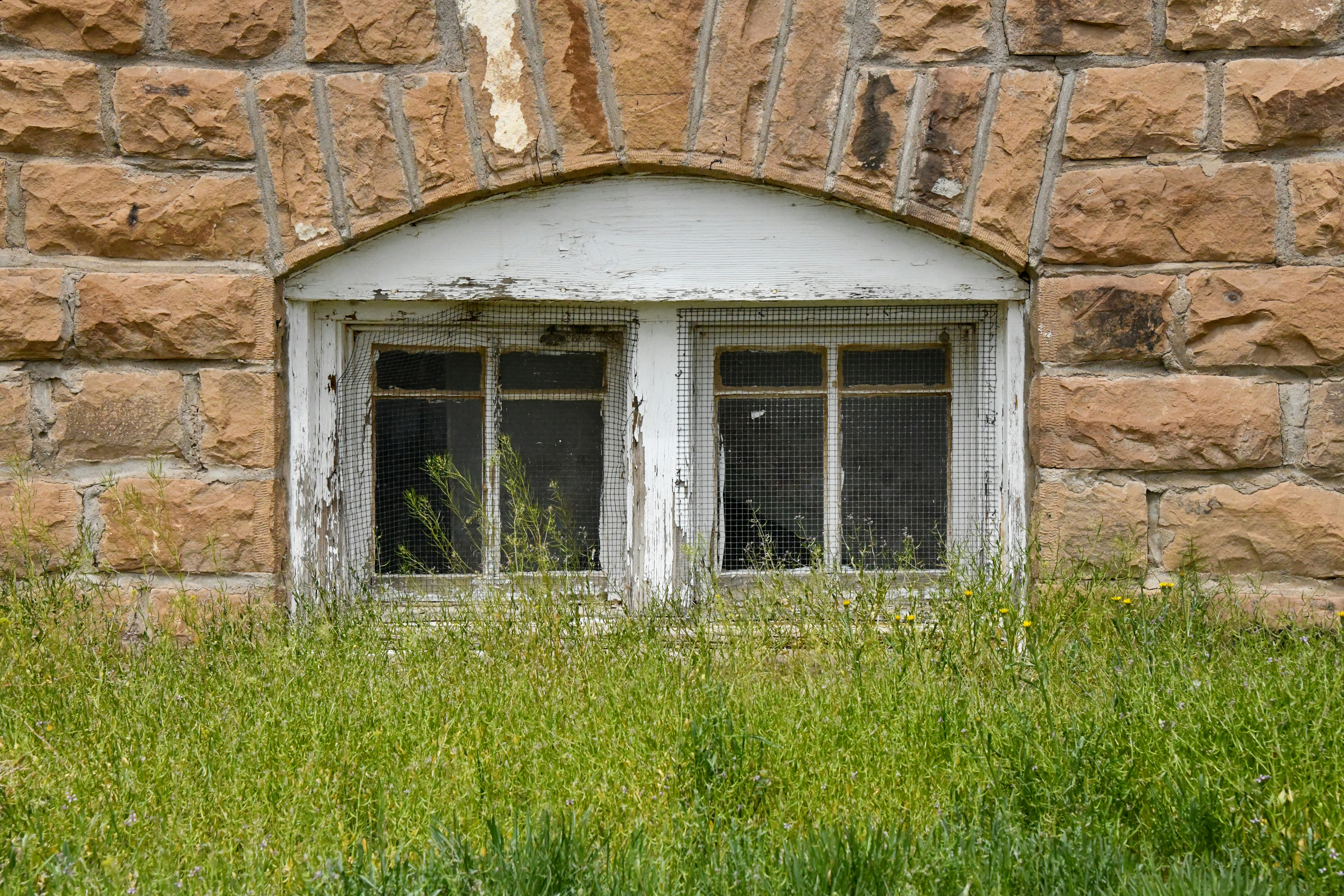 Stone-arched Window Framed by Weathered Brick, Surrounded by Wild Grass