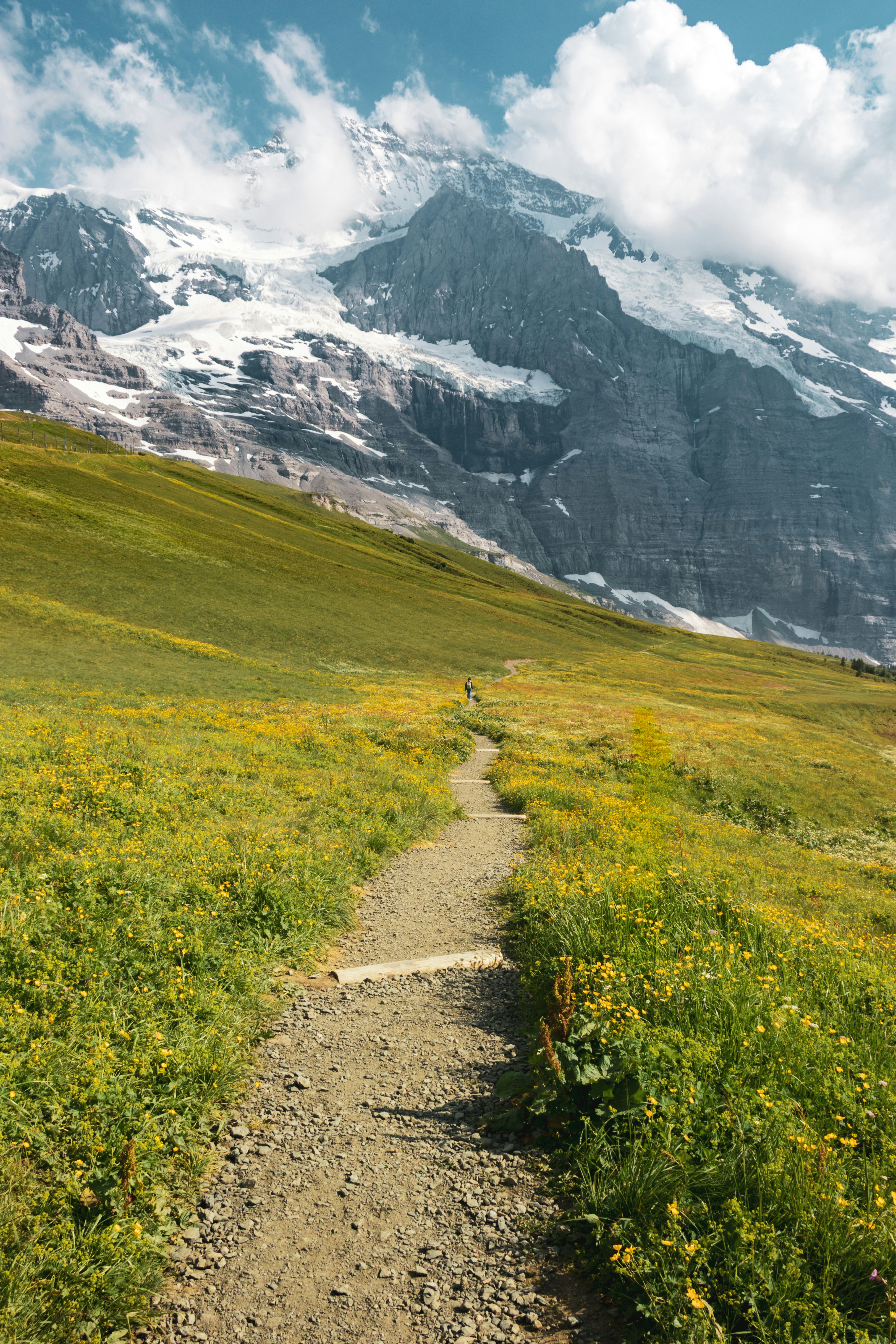 Path Mountain Pictures | Download Free Images on Unsplash