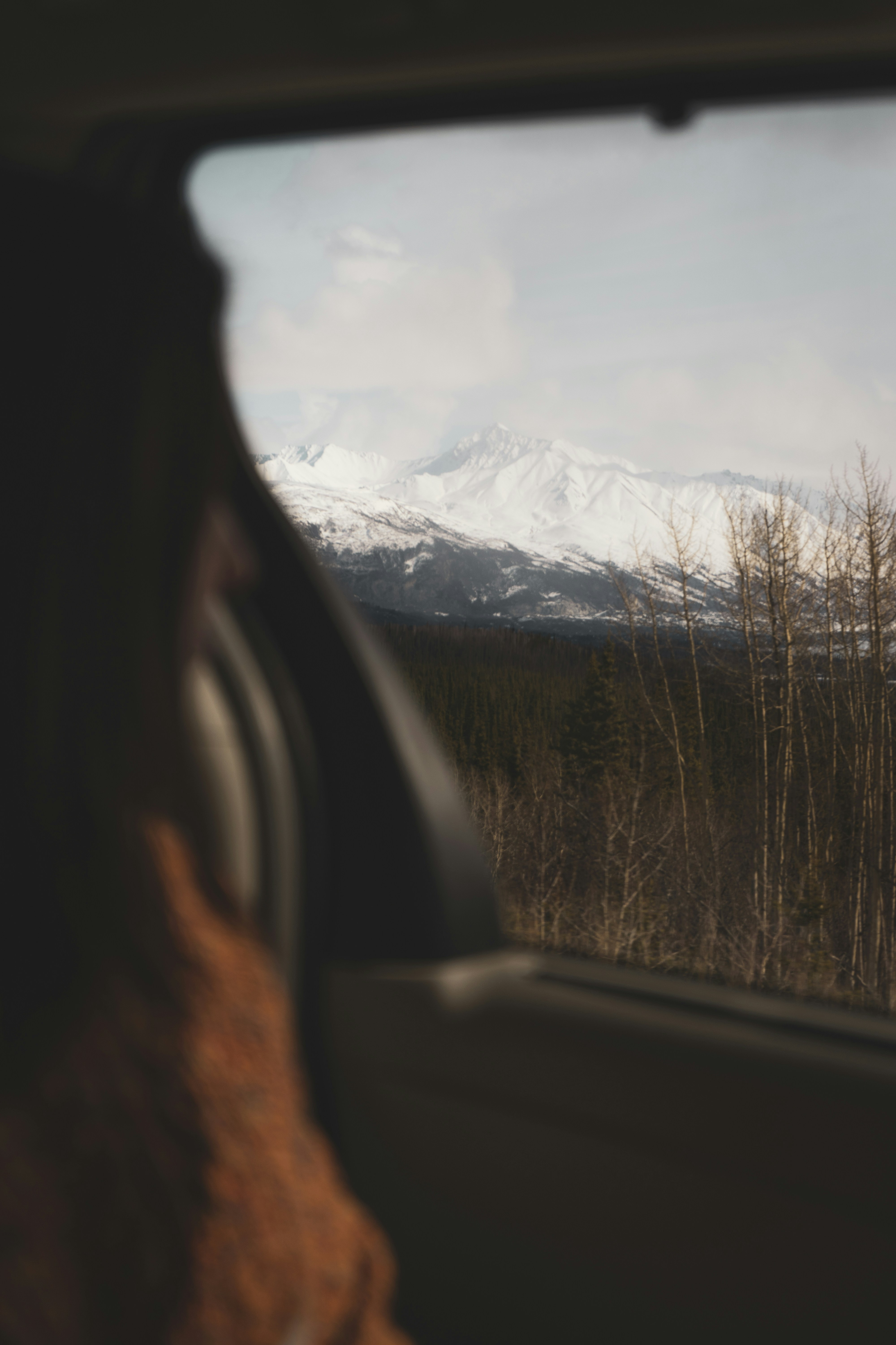 Window to the Range: Snow-Crowned Peaks Beyond a Quiet Car Window
