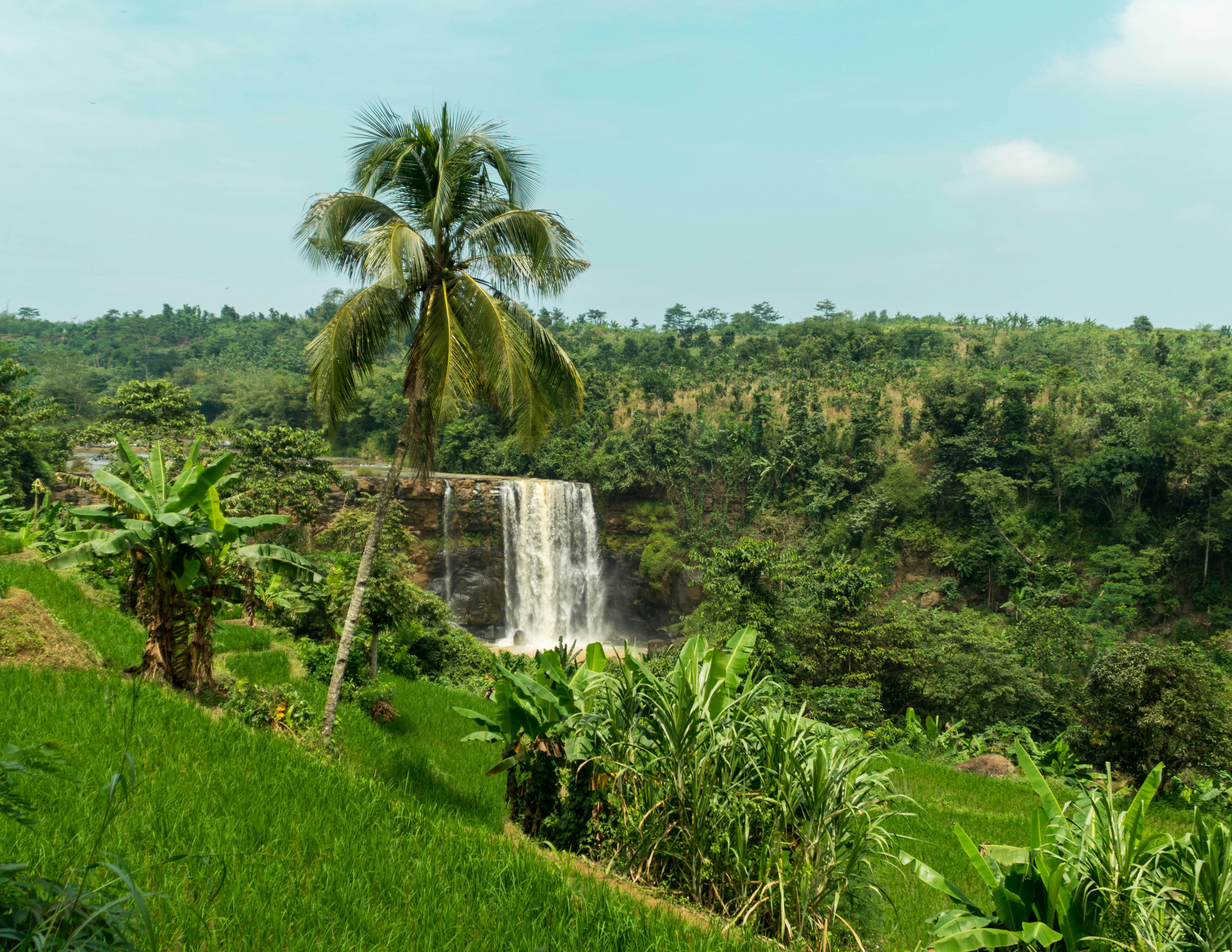 Waterfall cascading amidst lush greenery and palm trees under a clear sky.