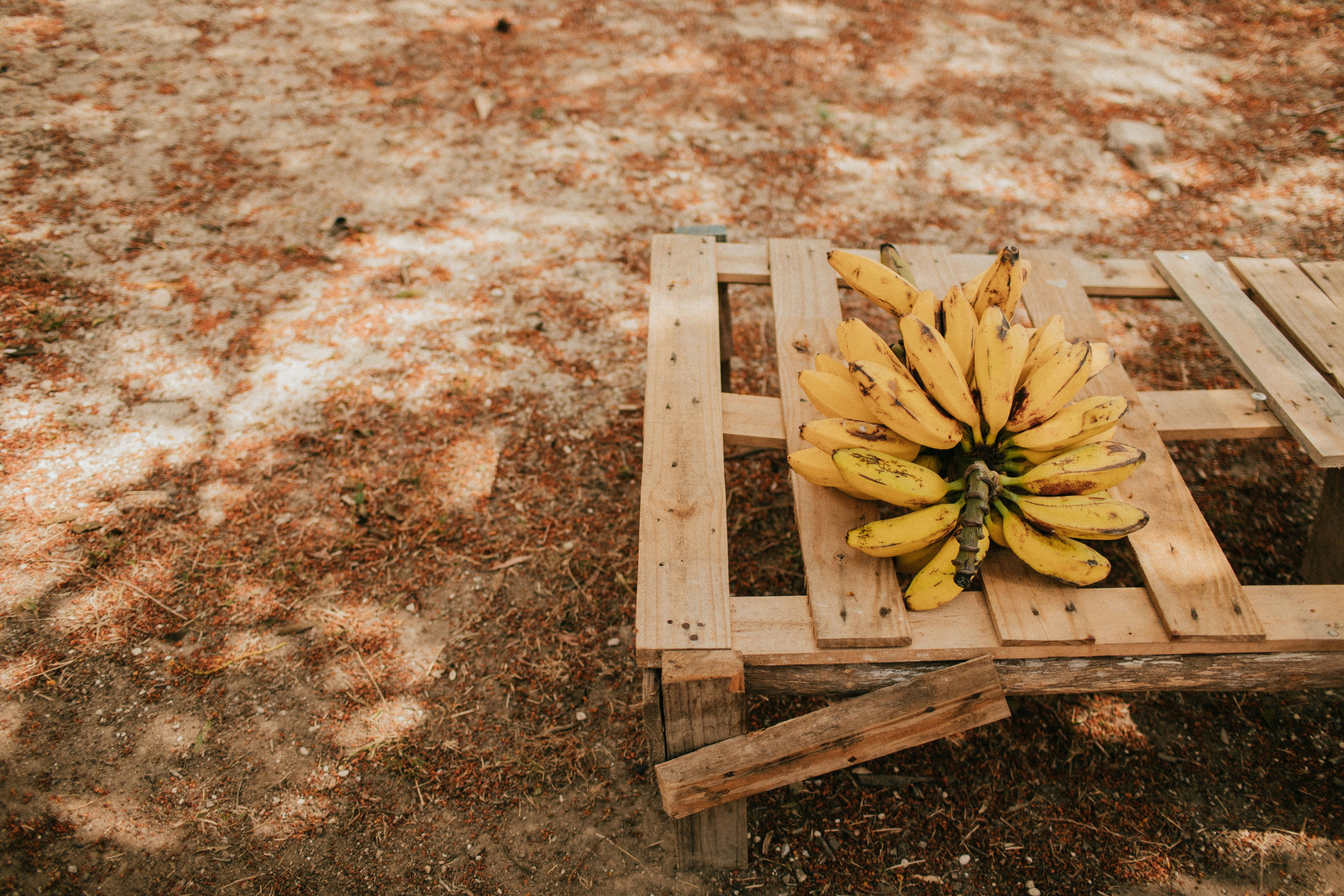 Banana Bouquet on a Weathered Pallet Under Dappled Light
