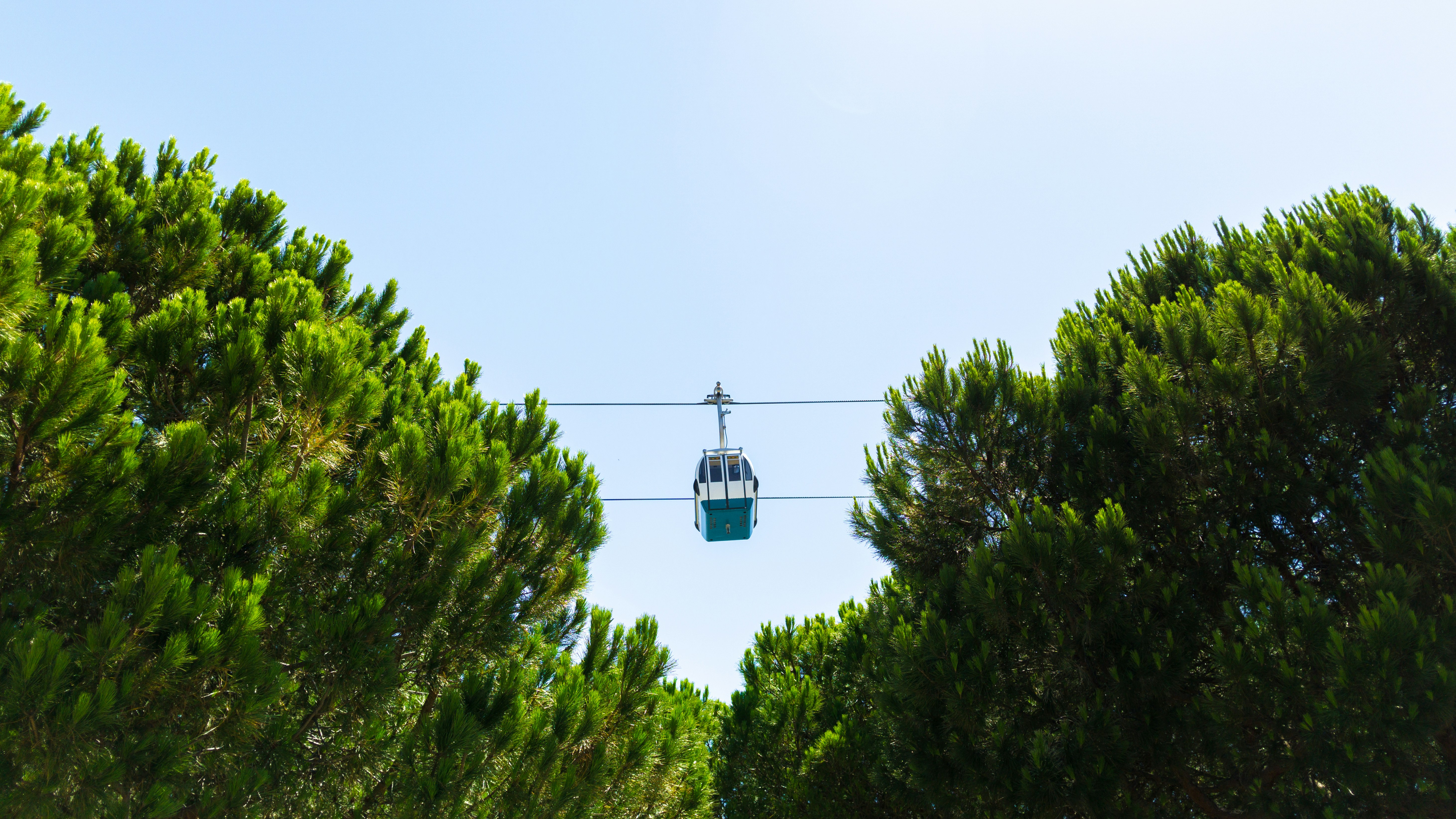 Blue Gondola Between Emerald Pines