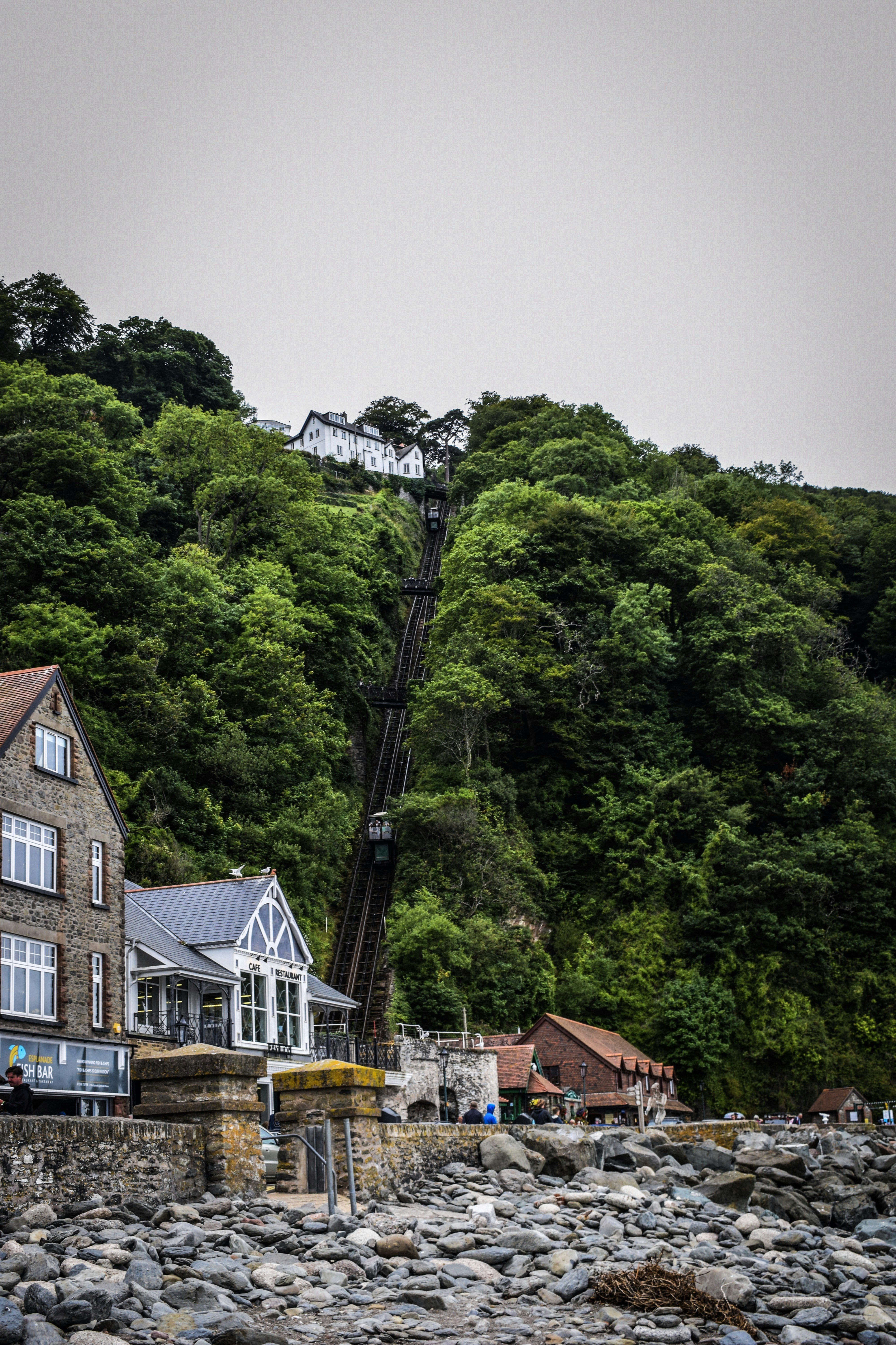 houses near trees under white sky
