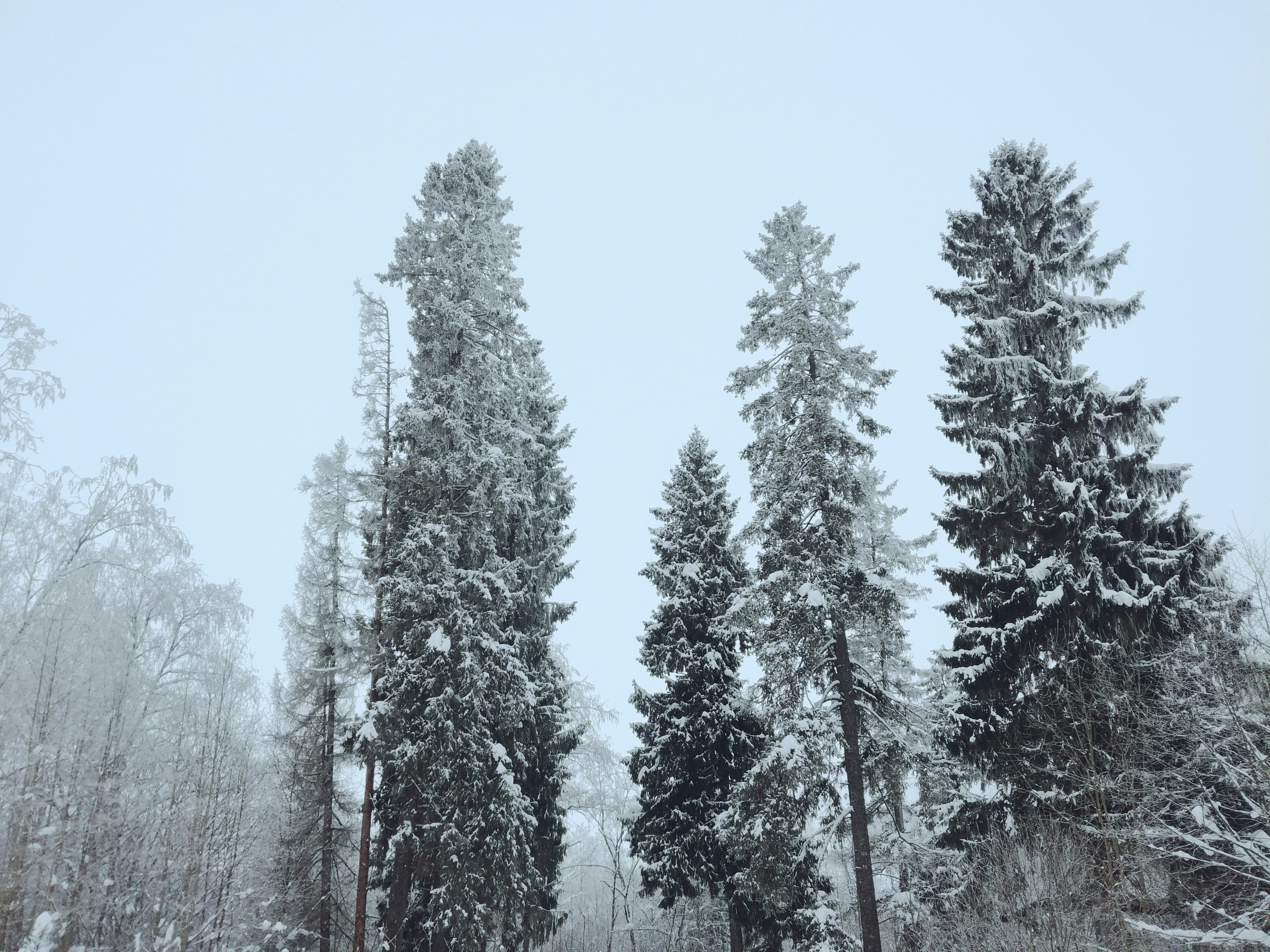 Jonh Corner (@jonhcor) | Unsplash Photo Community