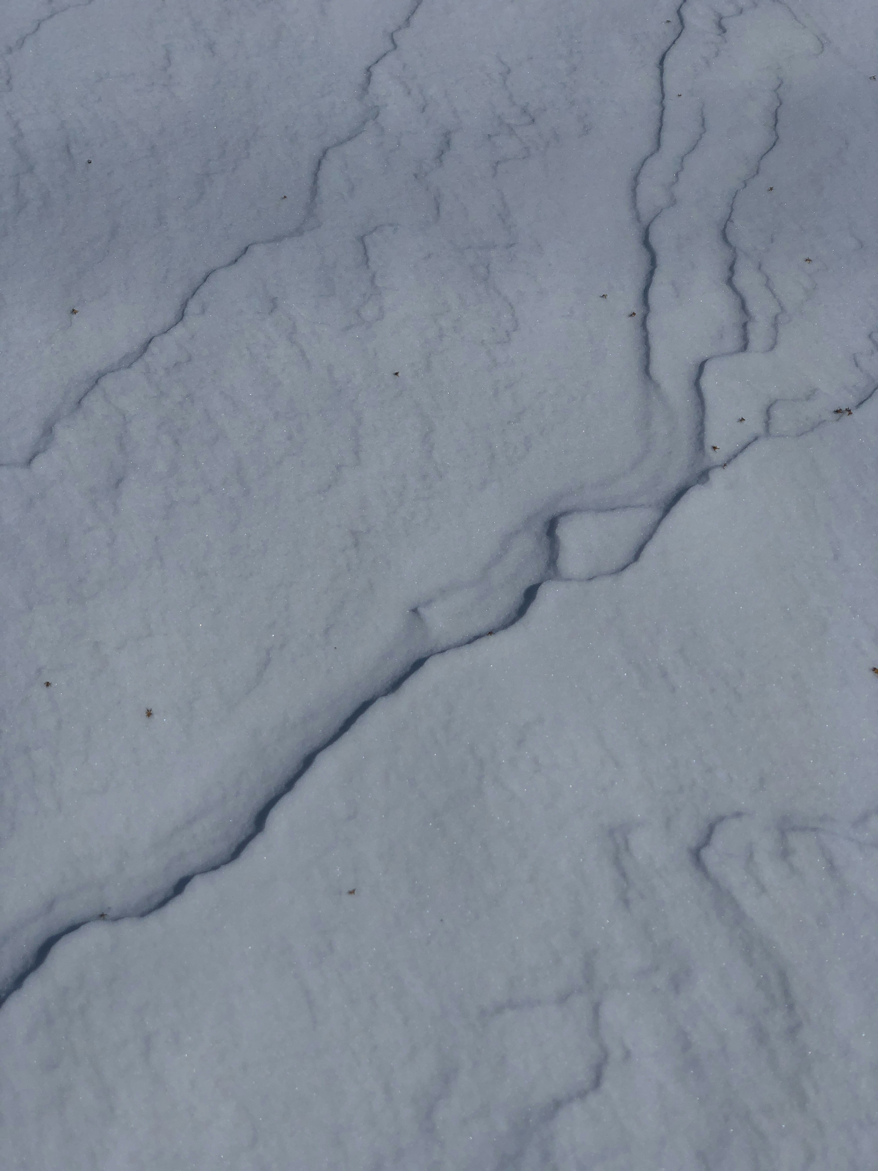 cody weiss (@boxsquare) | Unsplashフォトコミュニティ