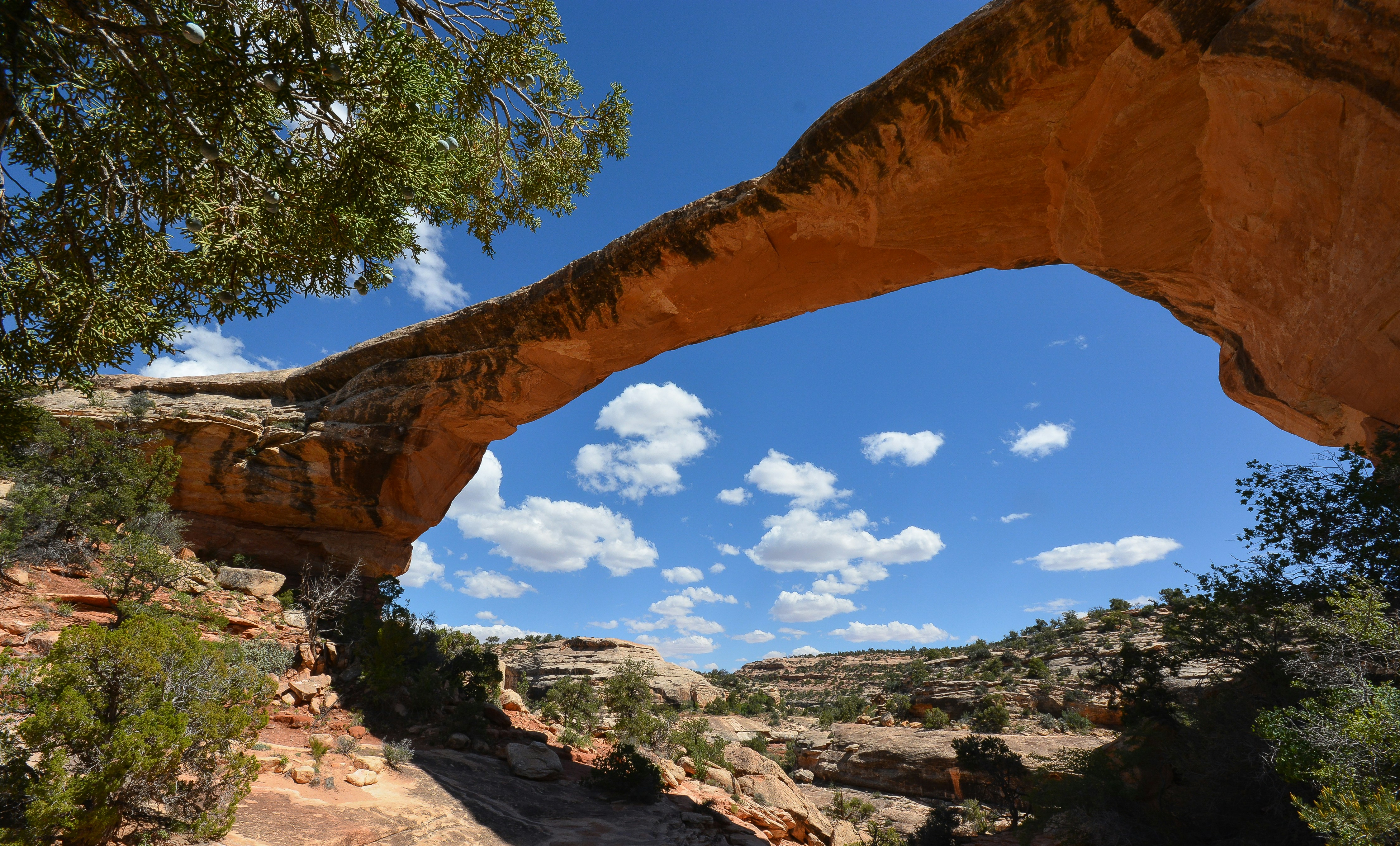 Natural sandstone arch framed by desert vegetation under a bright blue sky with scattered clouds.