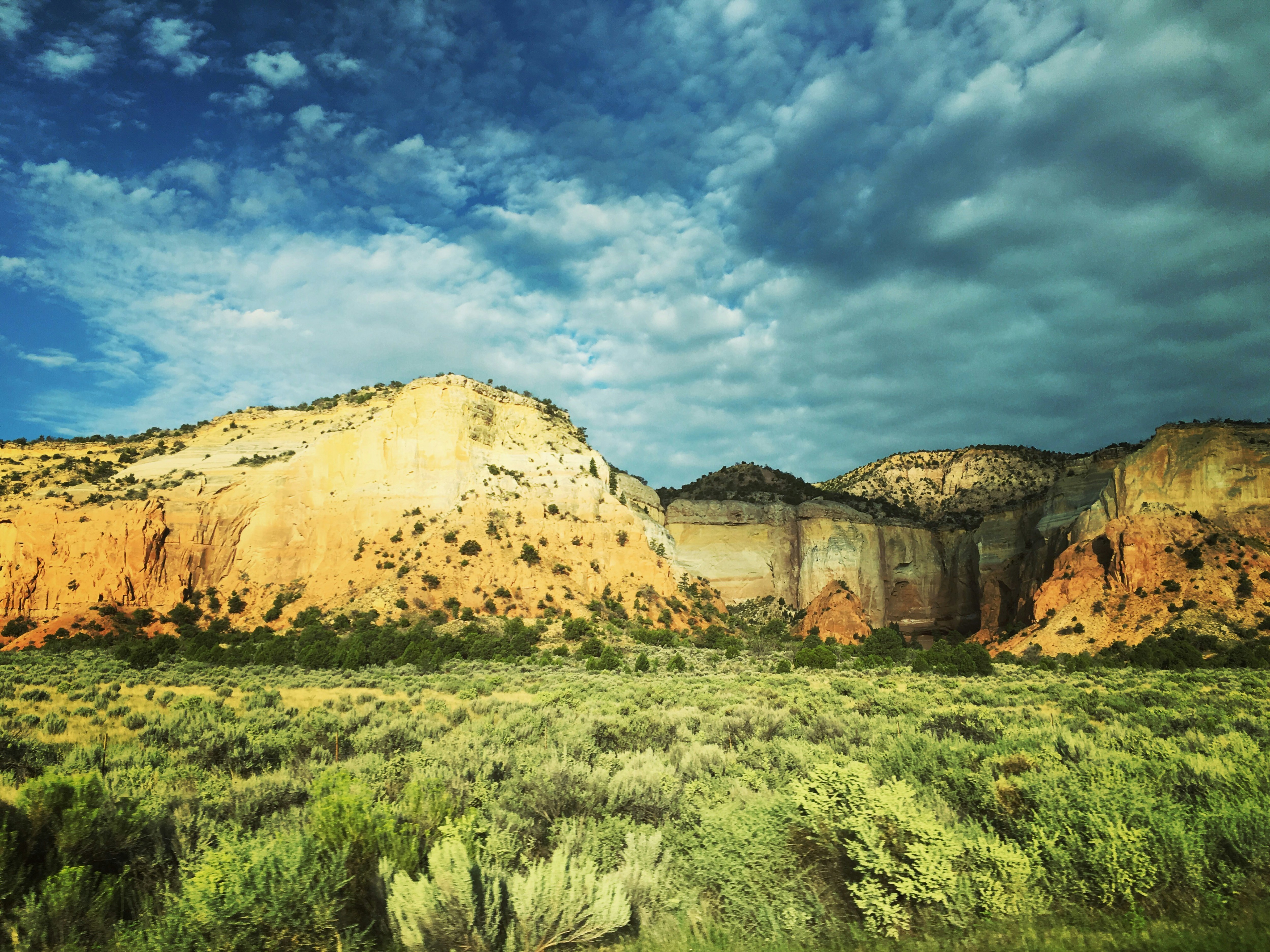 Vibrant rock formations rise against a dramatic sky, framed by lush green vegetation in the foreground.