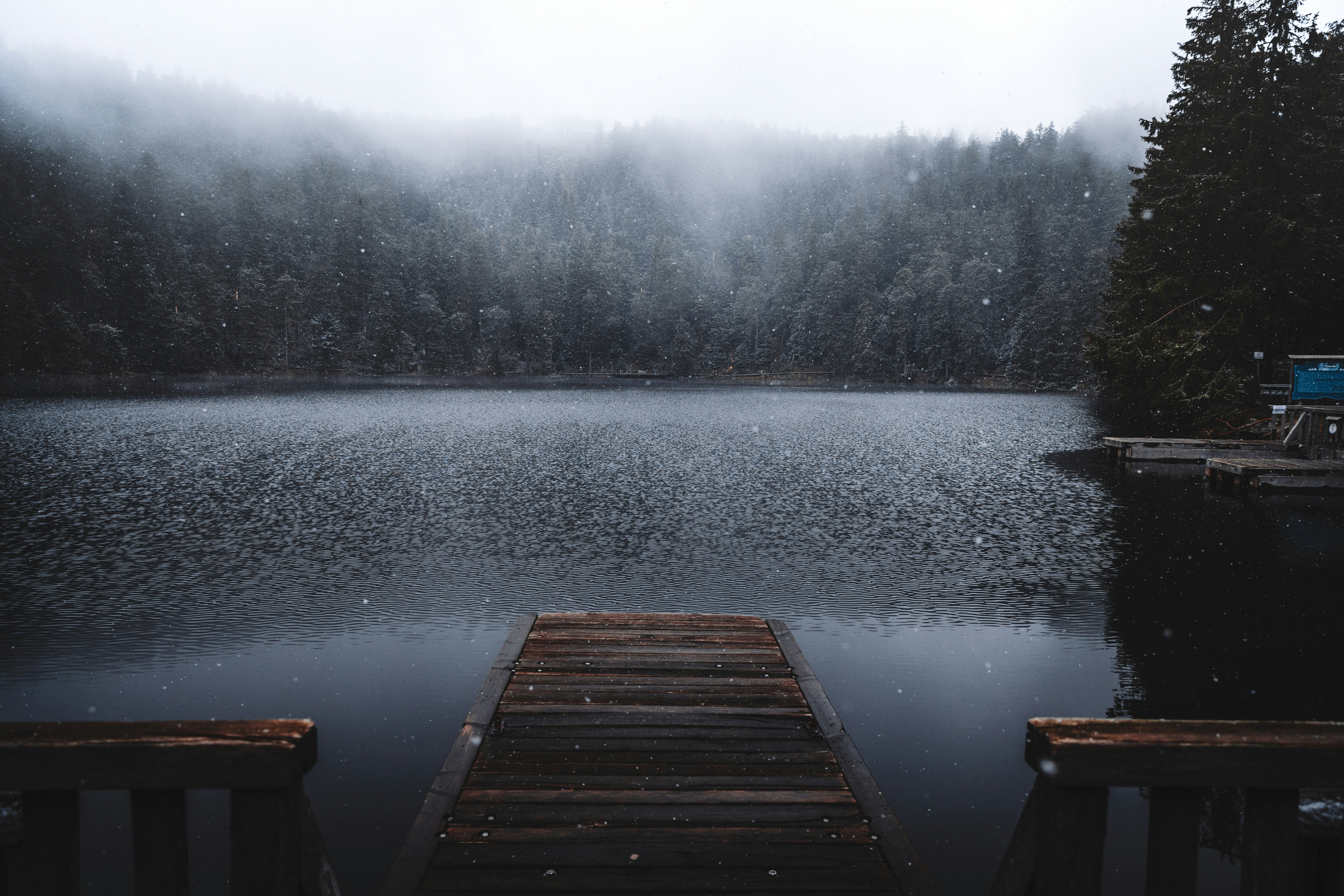 Lili Kovac (@lilschk) | Unsplash Photo Community