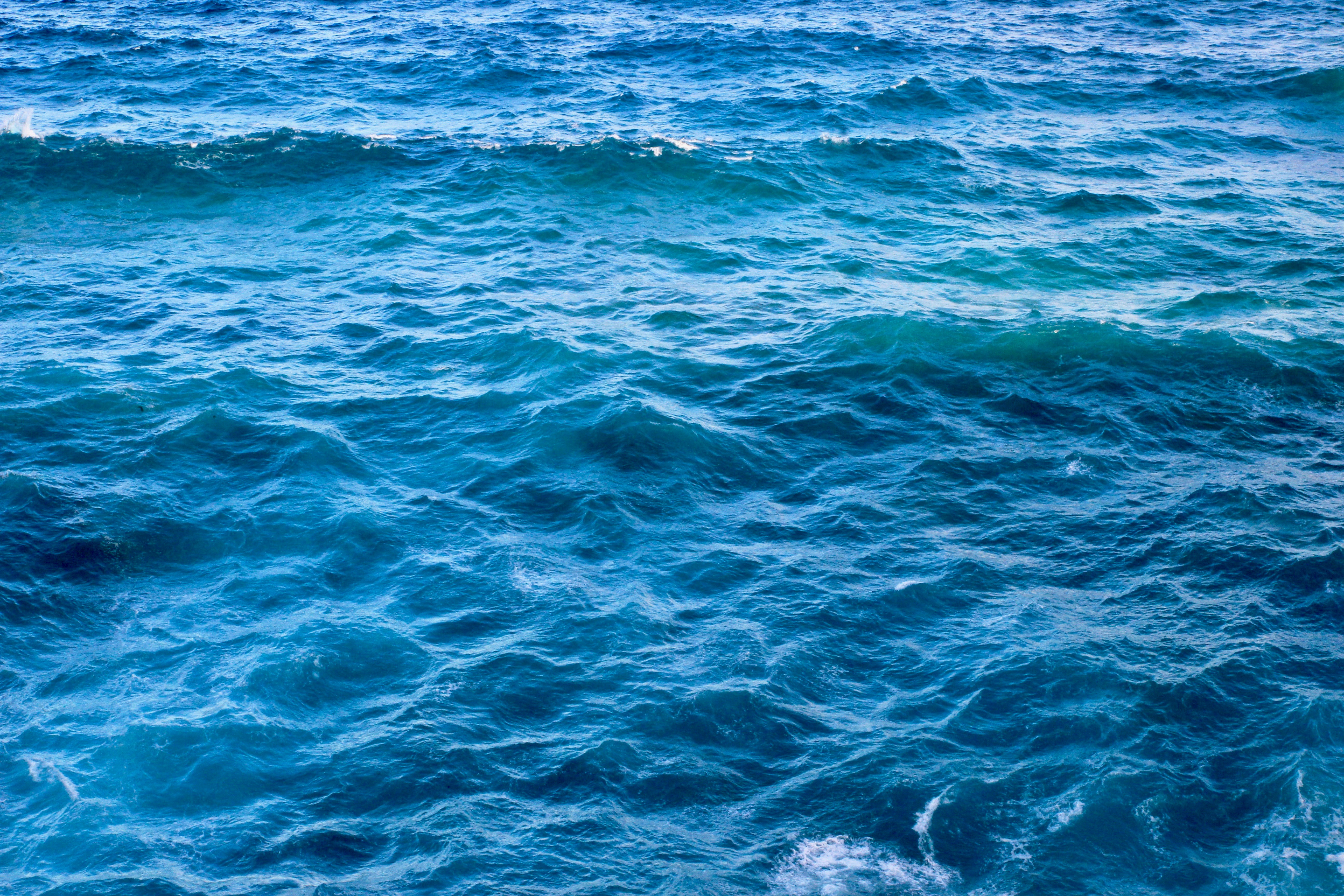 Art | 22 best free art, wallpaper, background and outdoor photos on ...