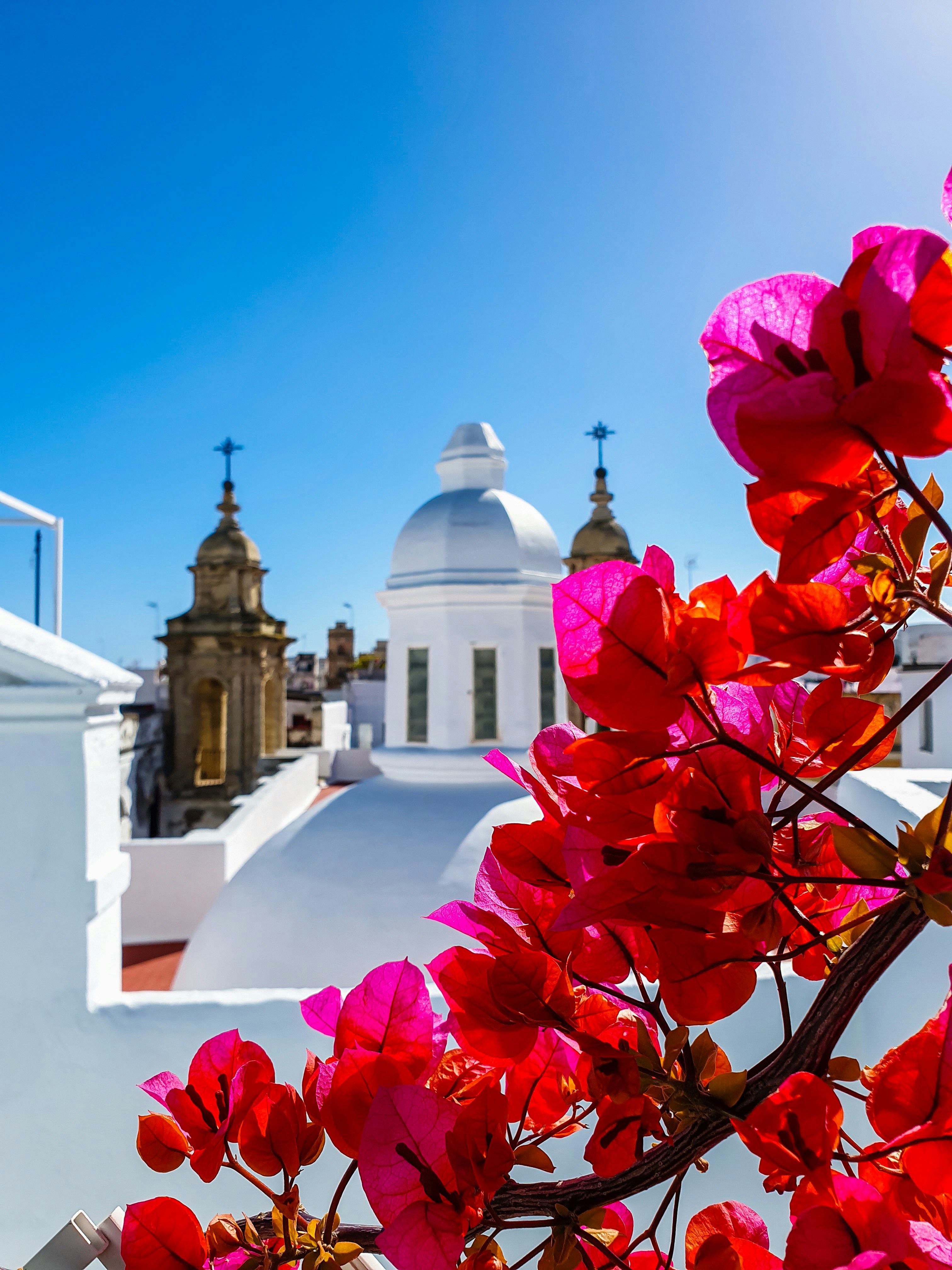 Crimson Bougainvillea Framing a White Dome Beneath a Cerulean Sky