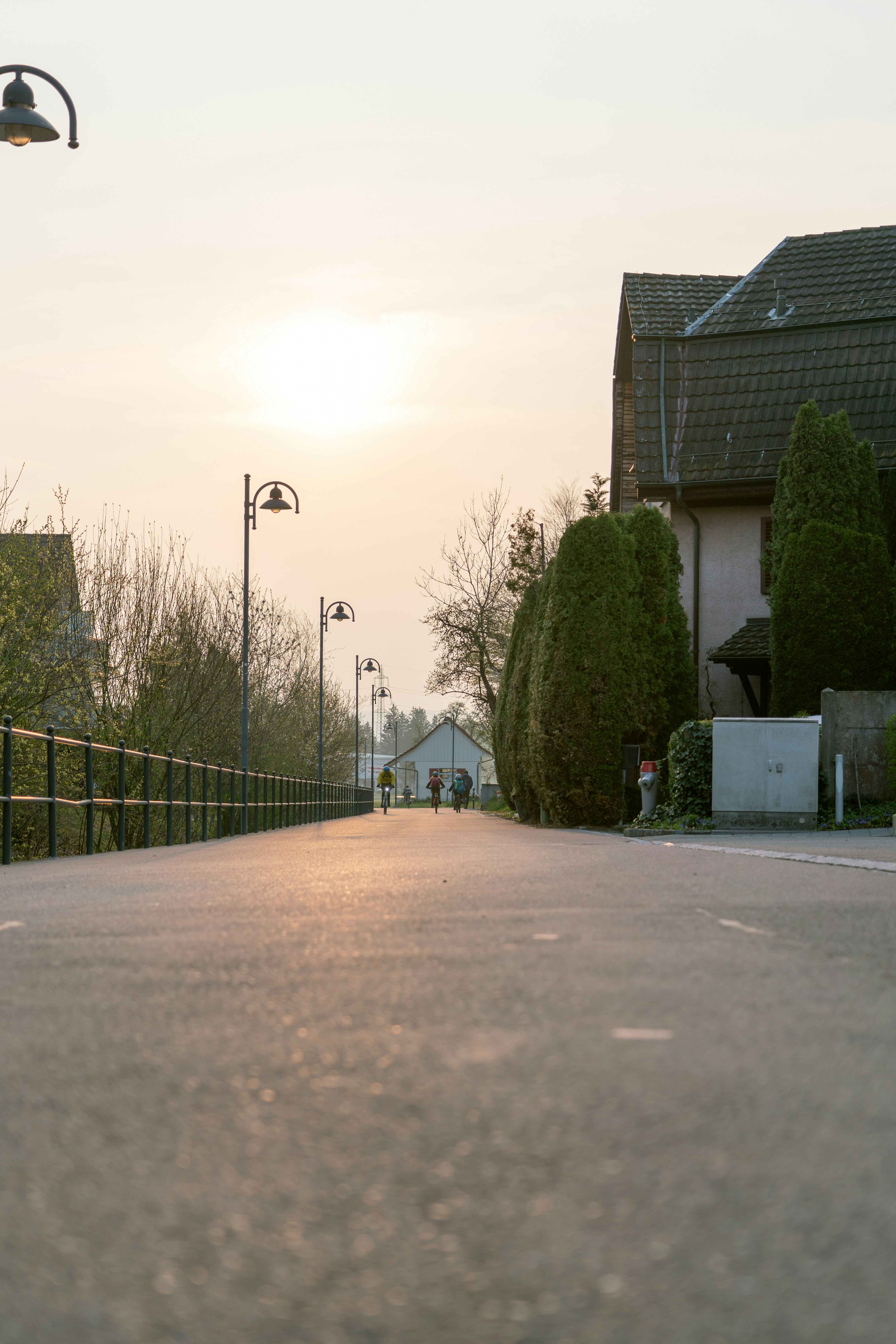 A tranquil pathway lined with trees and lampposts leads towards a soft sunset, inviting evening walks. The scene captures the essence of peaceful suburban life.