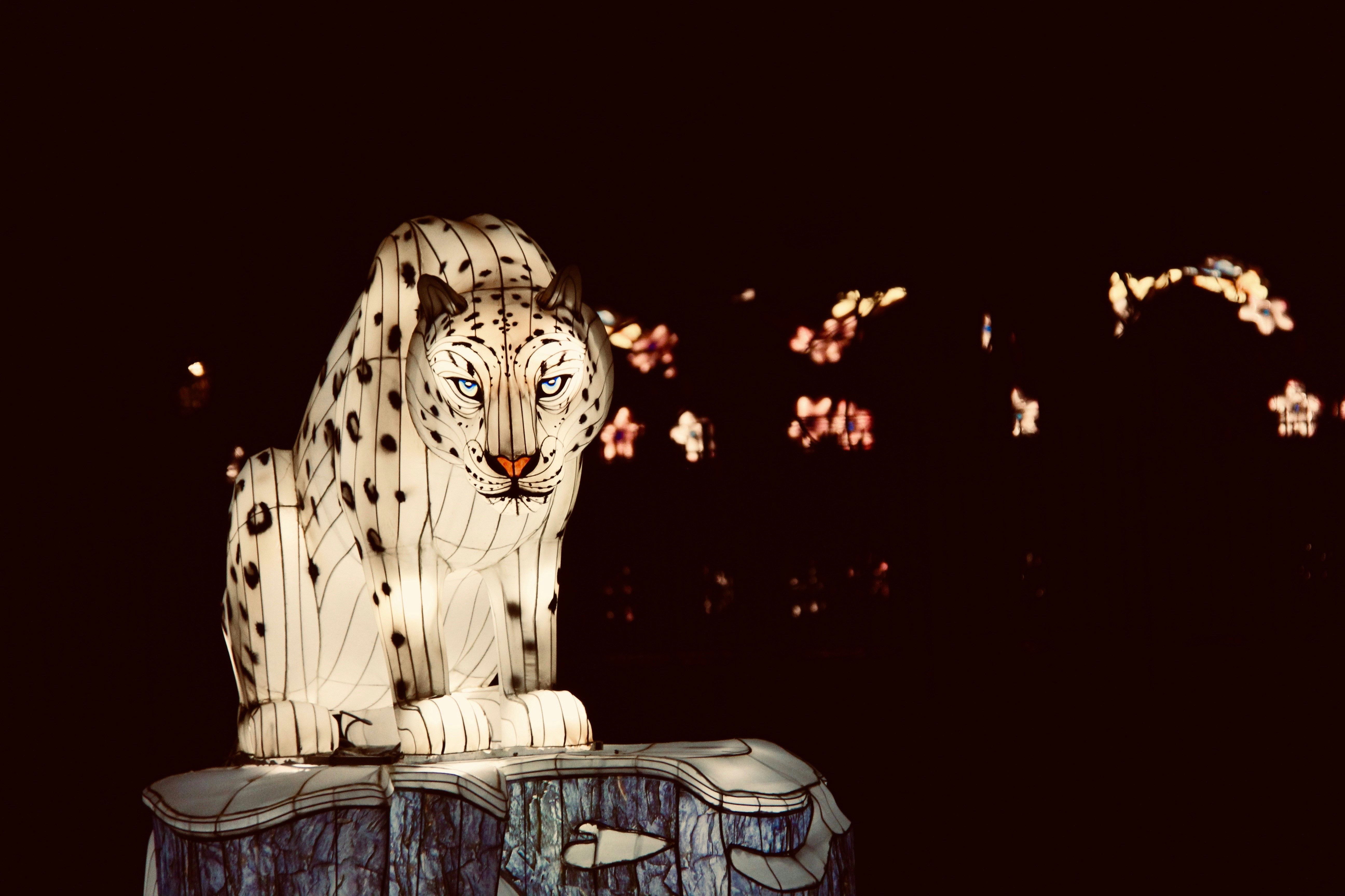 Night Guardian: Illuminated Snow Leopard Statue on a Weathered Pedestal