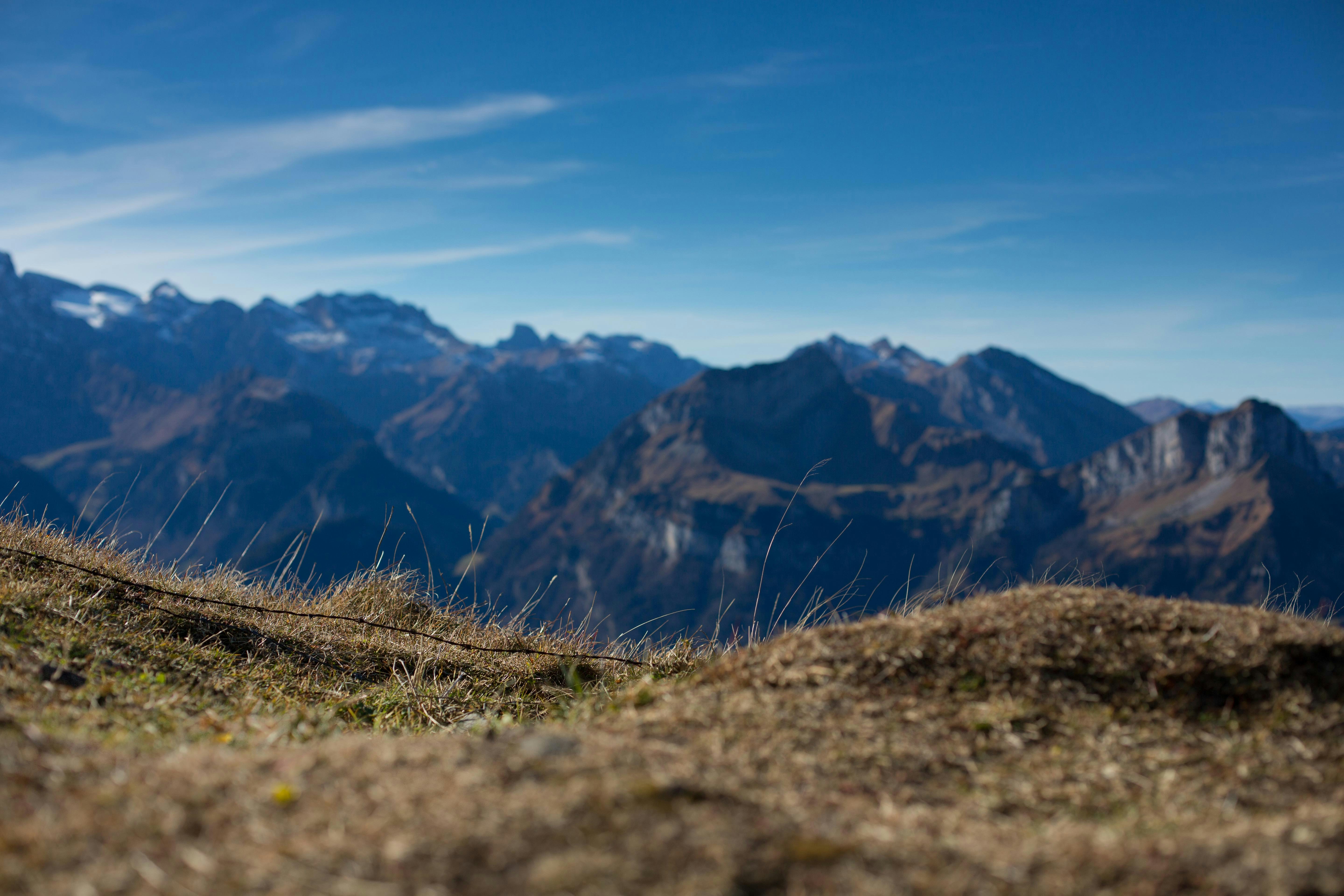 Lush grass foreground with majestic mountains rising under a clear blue sky, showcasing the serene beauty of the Alps.