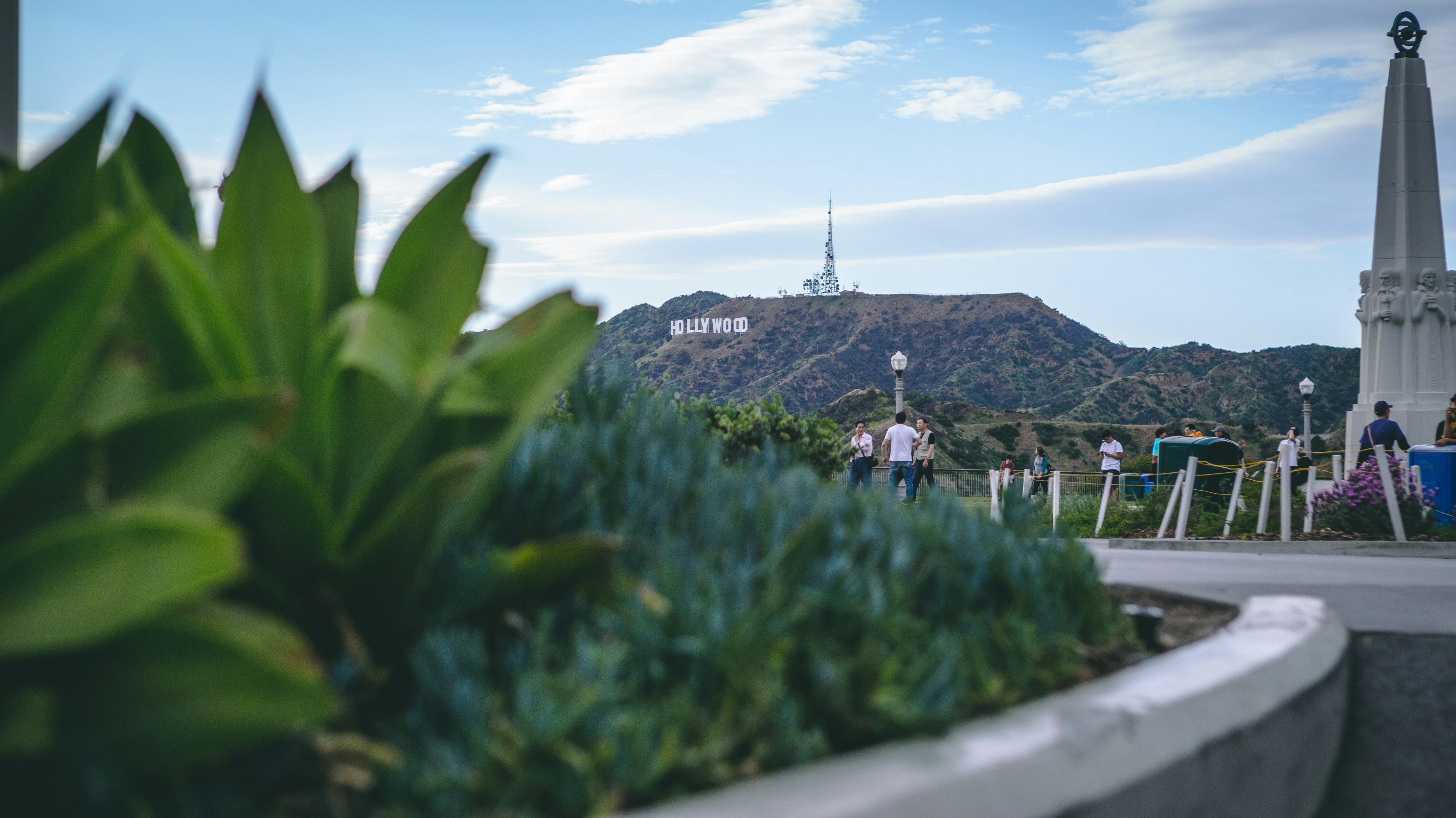 Hollywood sign framed by lush plants in the foreground, showcasing a blend of nature and urban landscape. The scene captures a vibrant day with visitors strolling nearby.