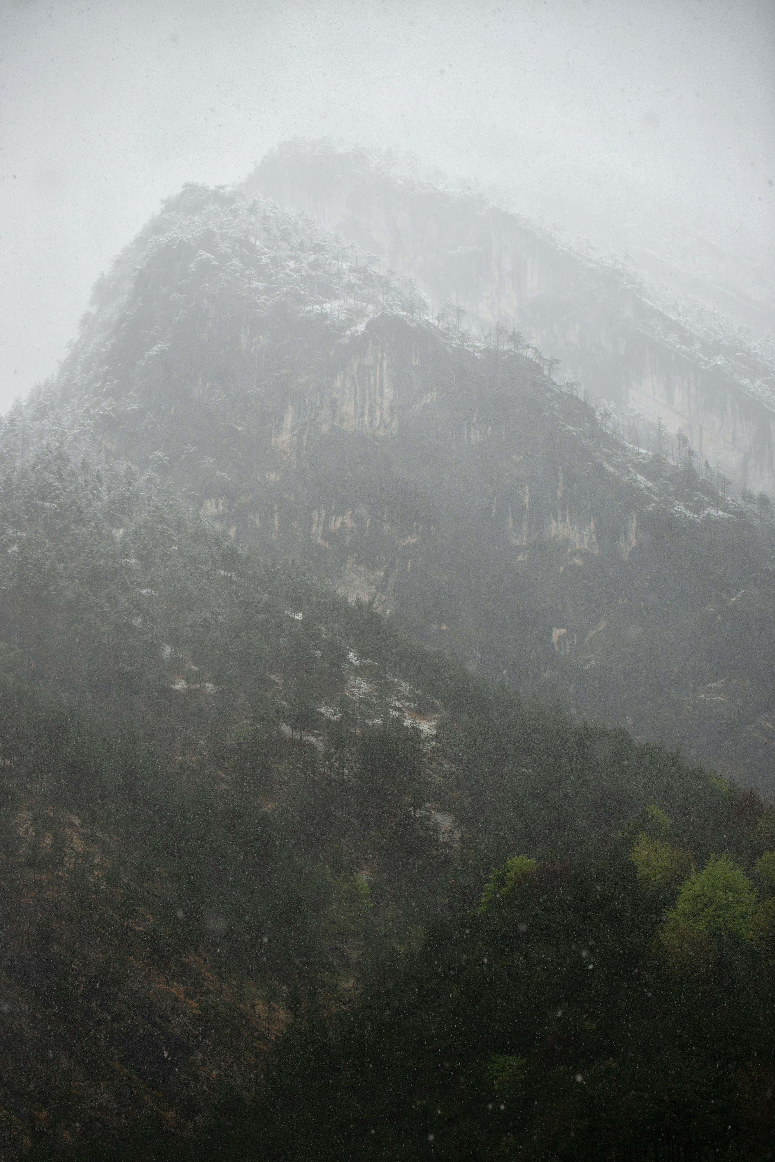 landscape photo of mountainsFederico Bottos