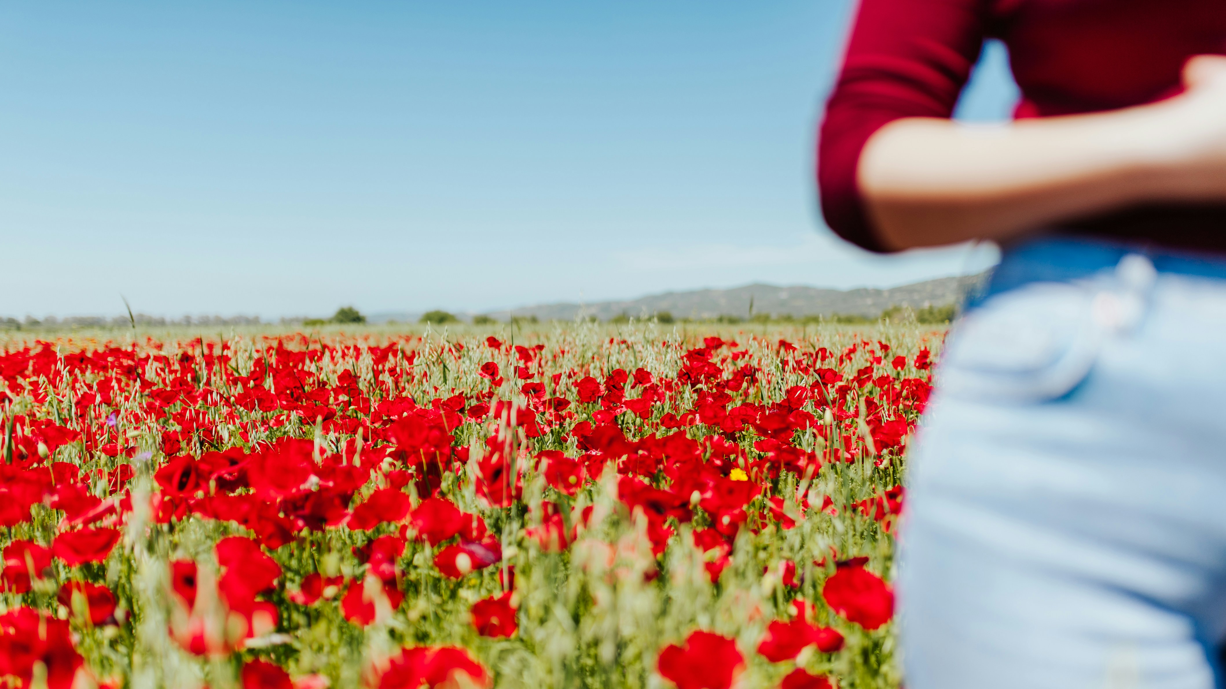 Nikon D700 sample photo - C3VEV3d1Ex - ExploreCams