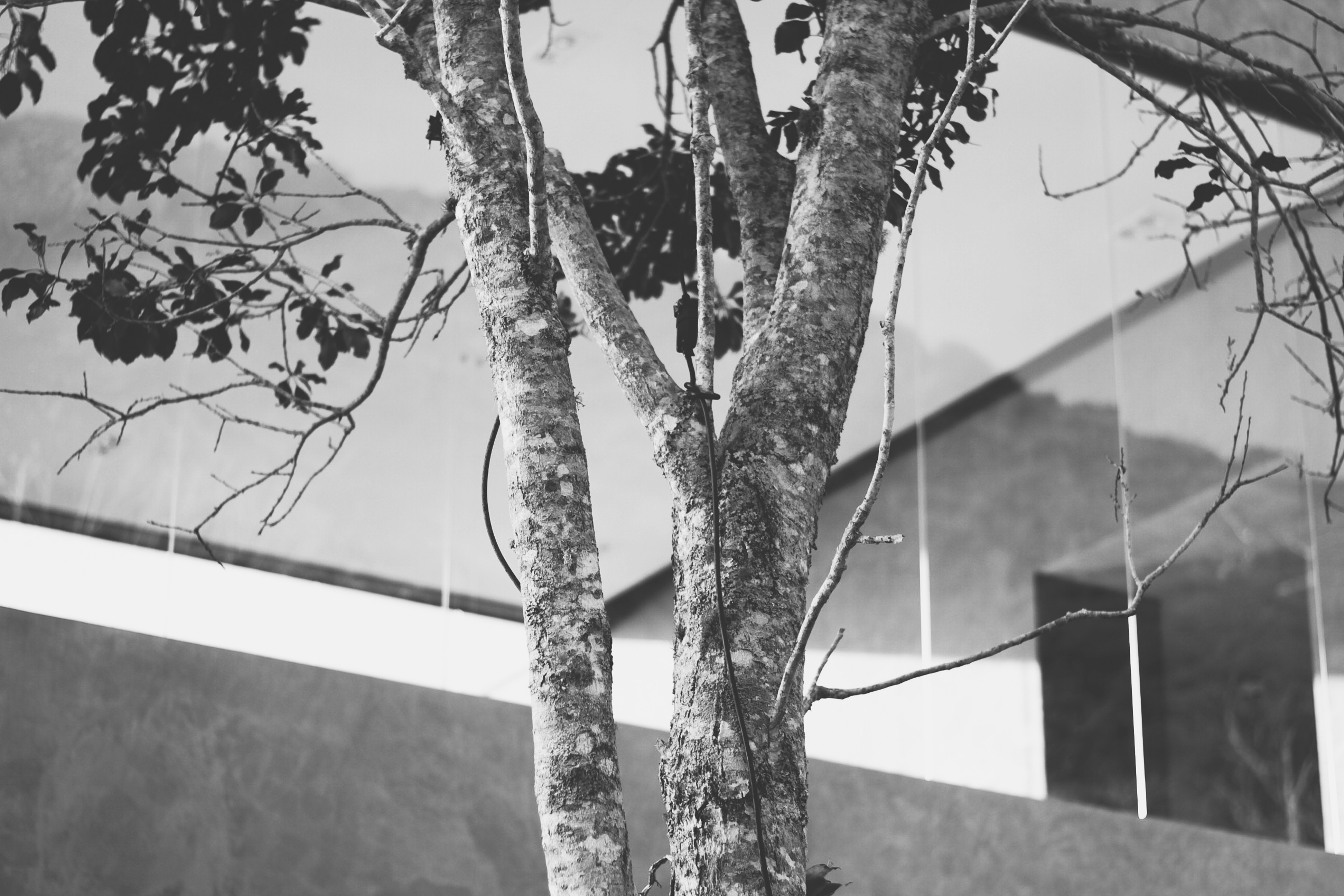 Photo by william f. santos with Canon EOS 7D