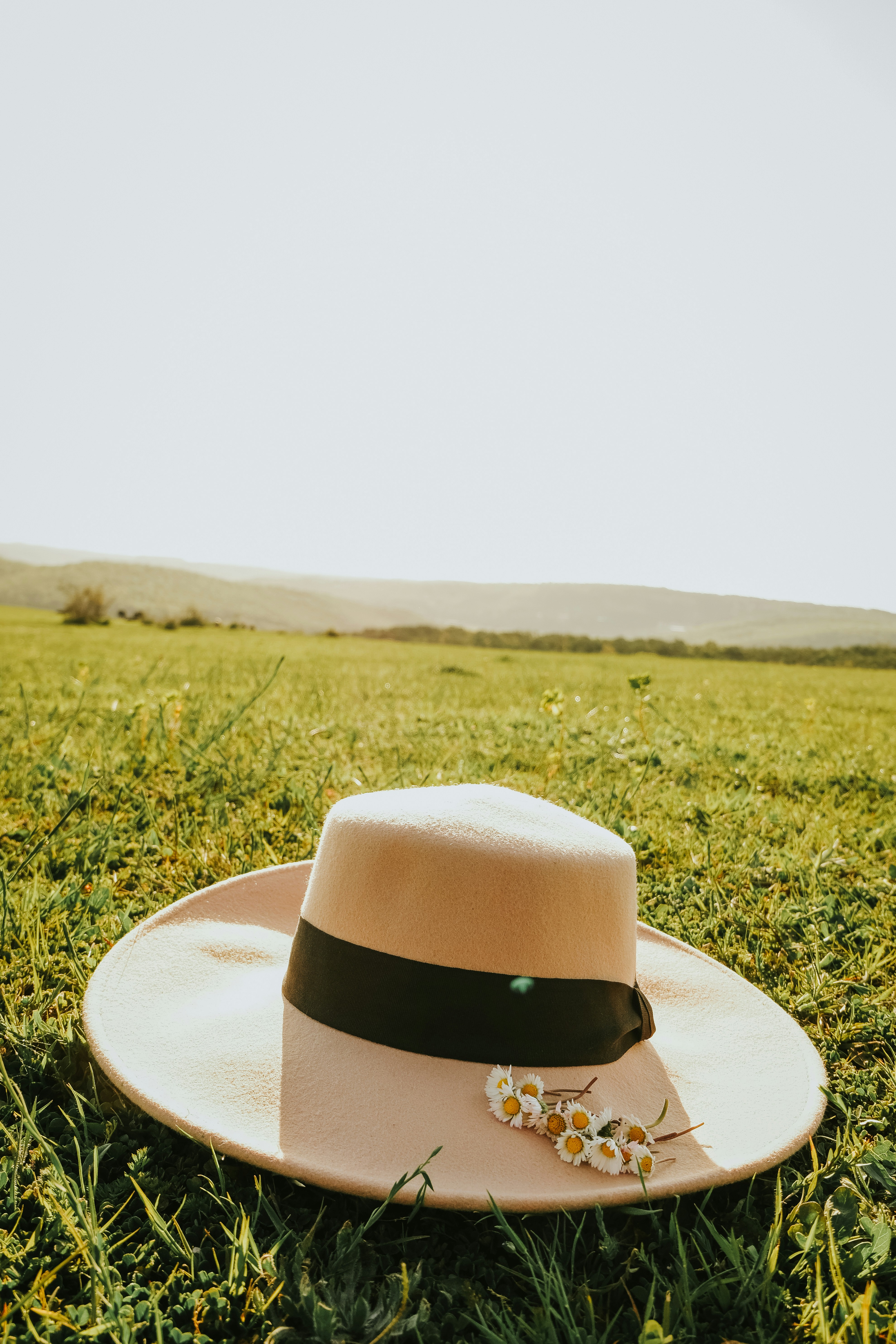 Daisies on the Brim: A Sunlit Hat in a Meadow