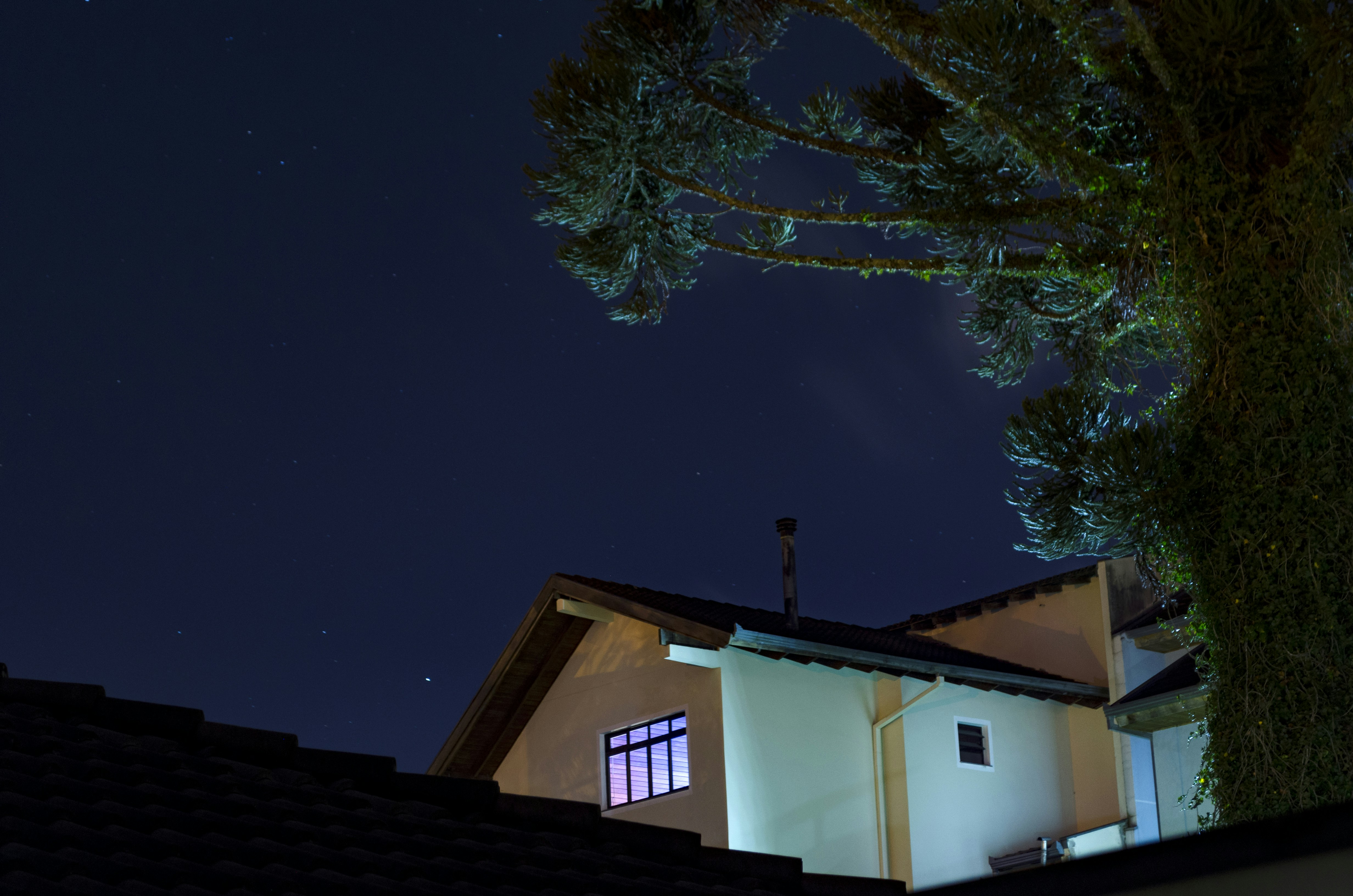 A serene night scene featuring a house illuminated by a soft glow from a window, framed by tall trees against a starry sky.