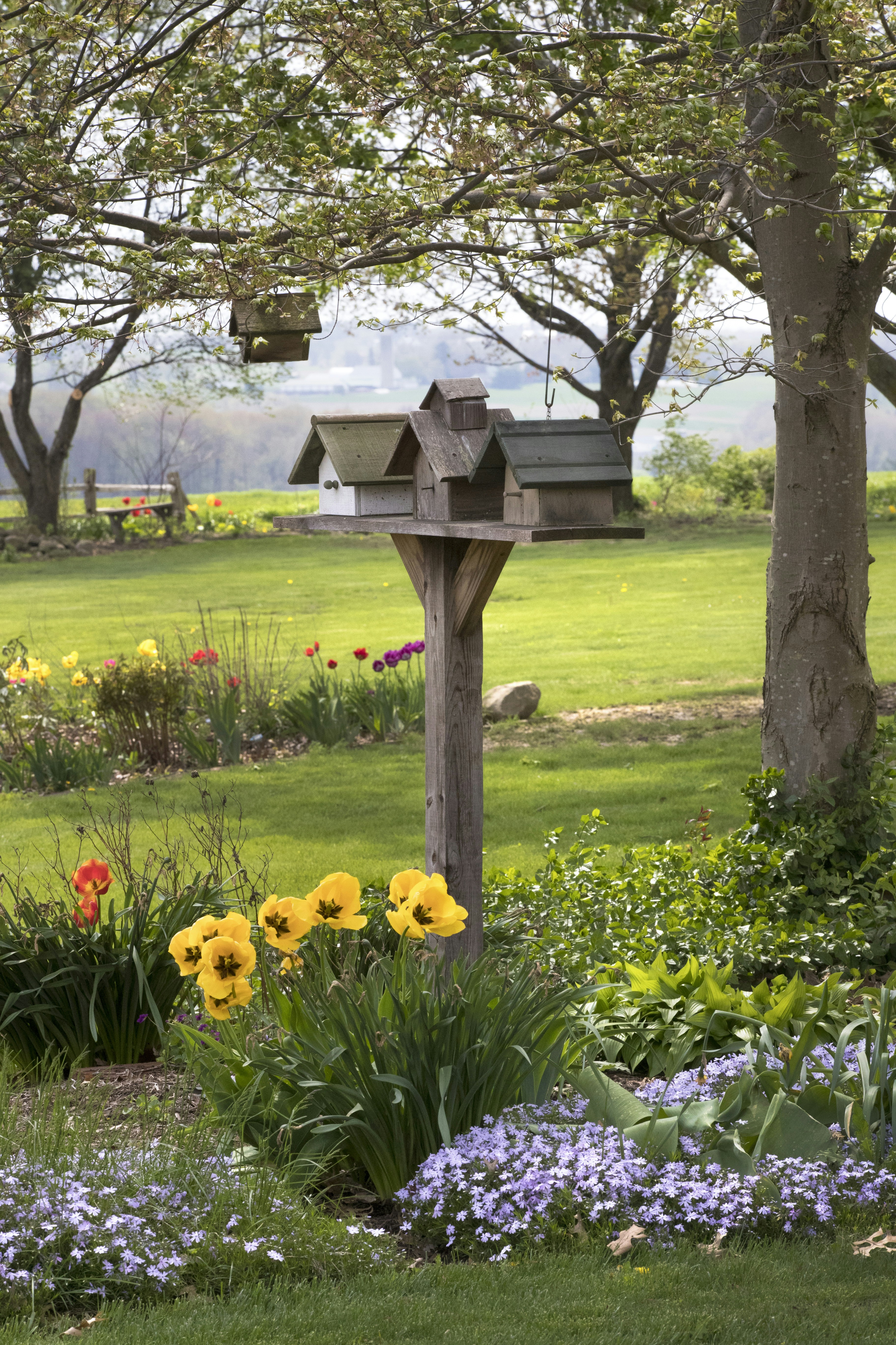 Mailbox Cascade: A row of birdhouses crowned on a rustic post amid a flowering garden