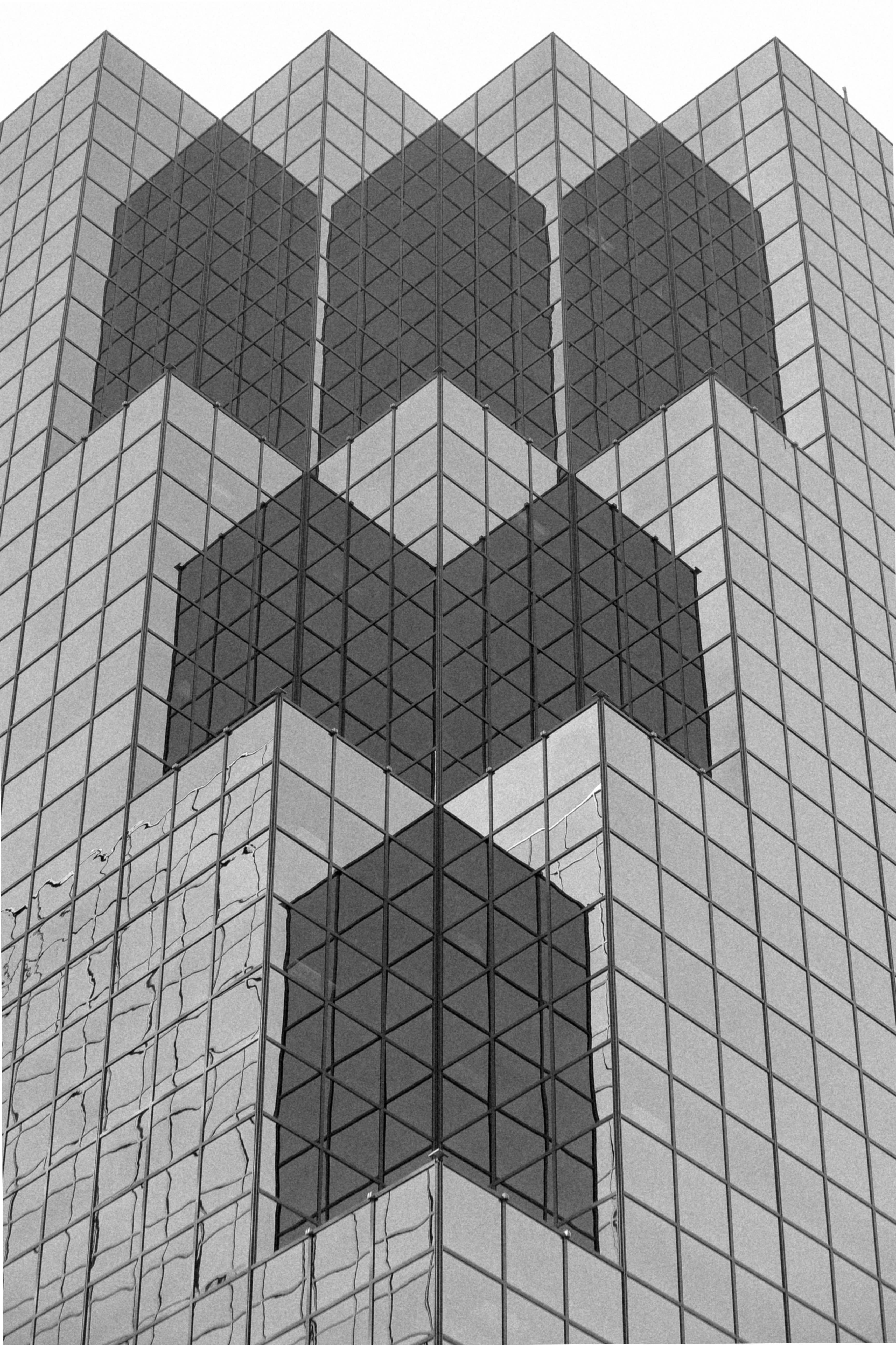 Cartoon Grid Drawing Pictures | Download Free Images on Unsplash