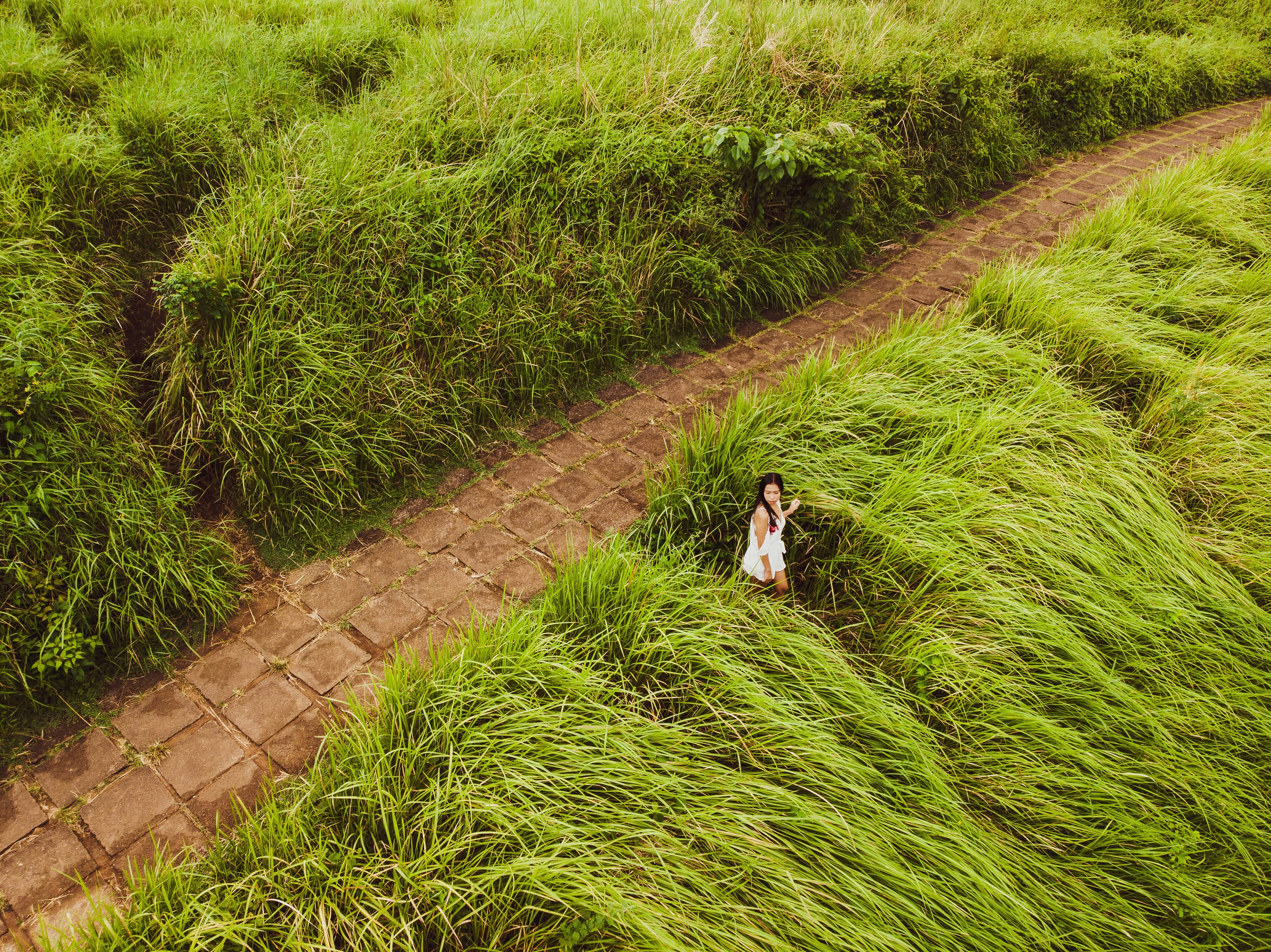 Woman standing on greenfield photo – Free Jl. monkey forest ubud no. 84 ...