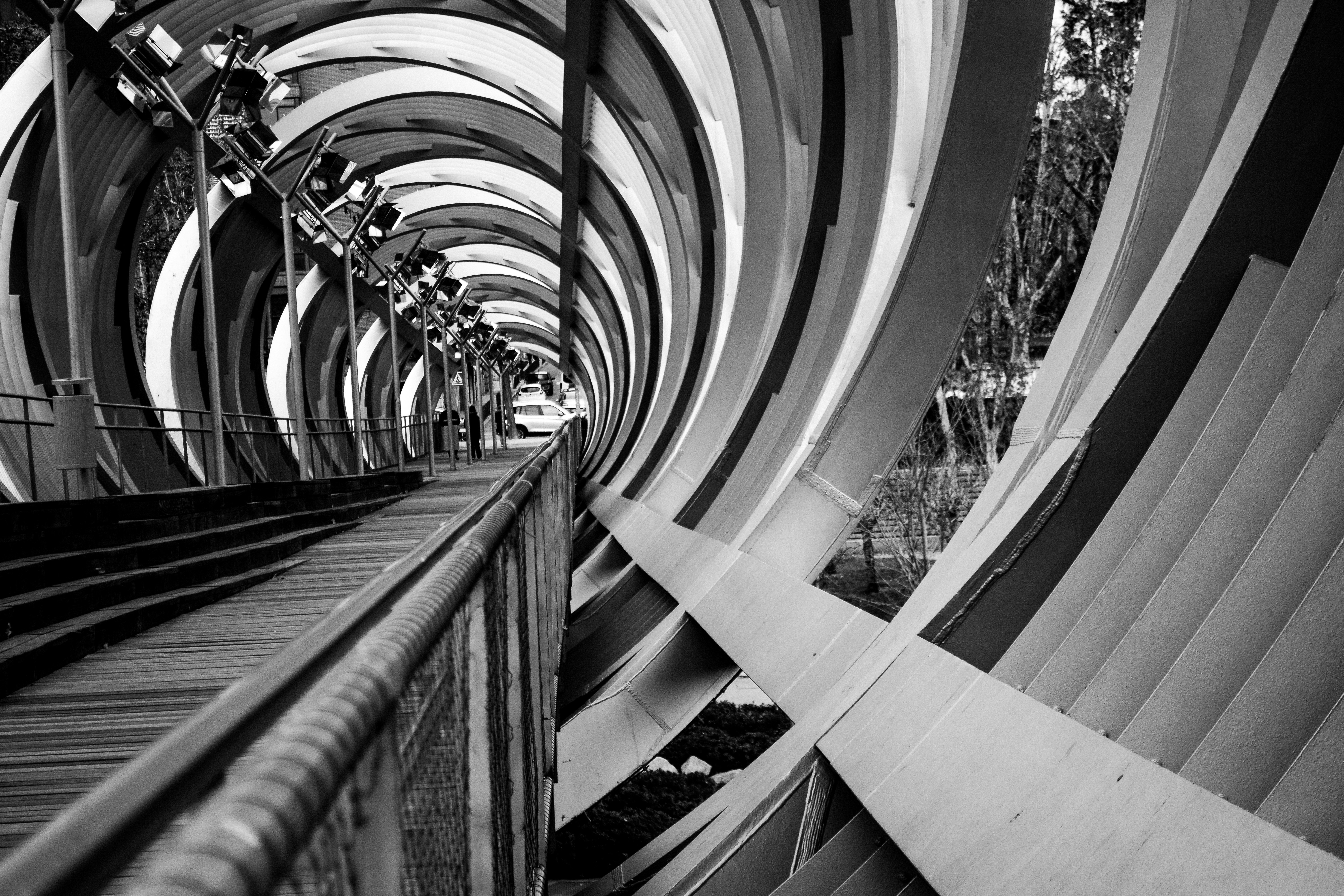 Luis Jose Torrealba (@luisjoset) | Unsplash Photo Community
