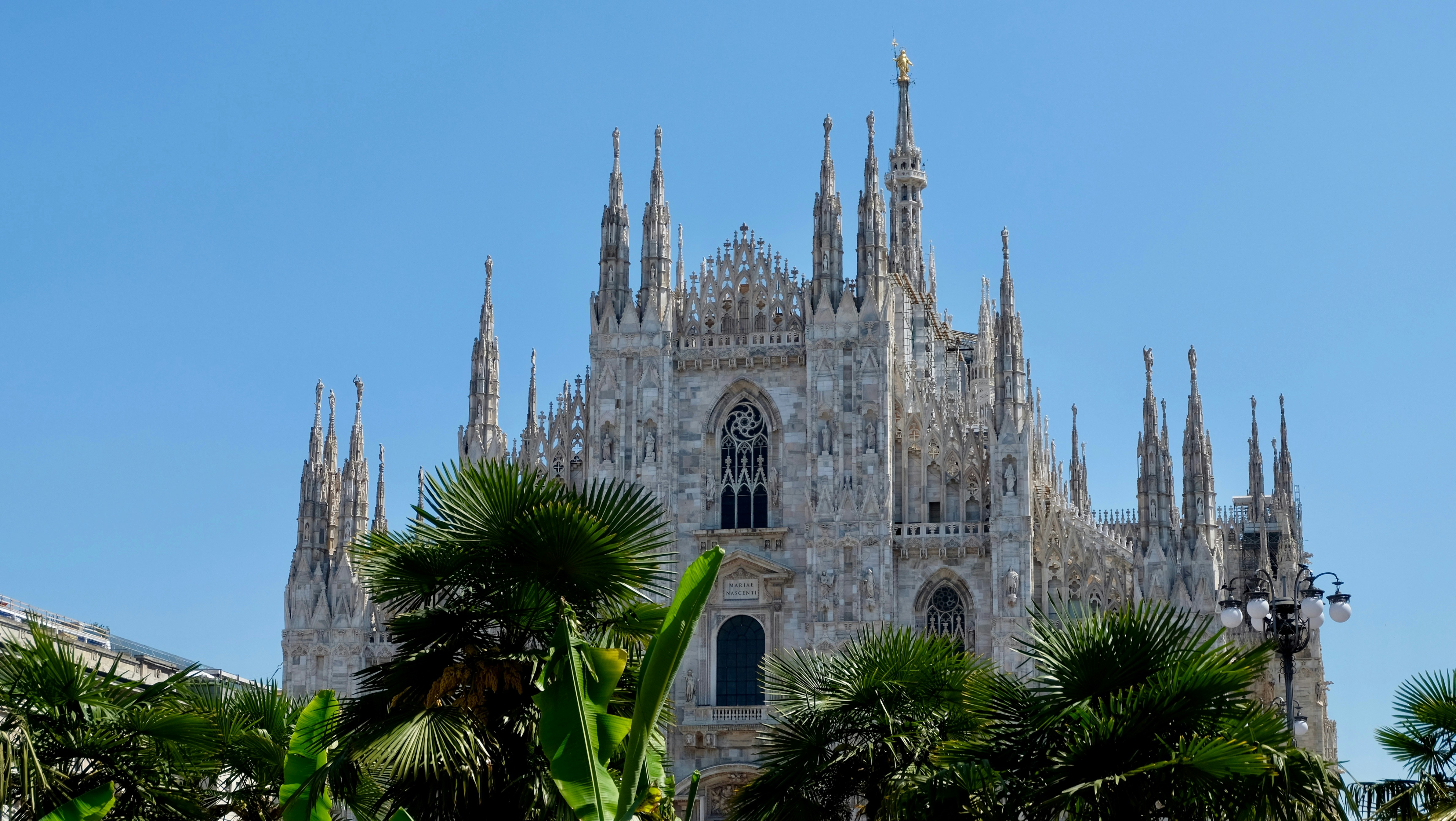 Gothic Skyward: The Cathedral Rising Above Tropical Foliage