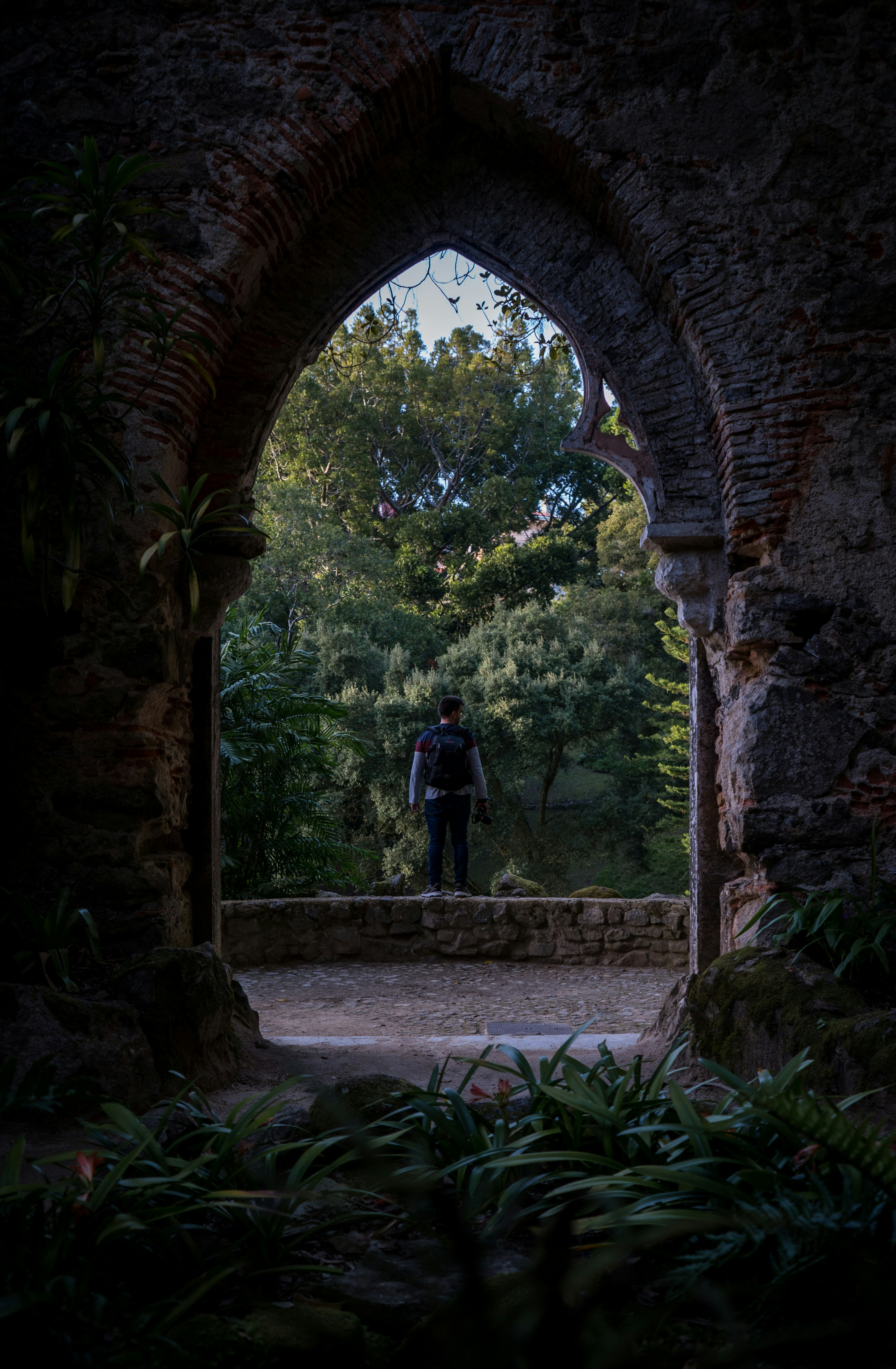 A solitary figure stands at the entrance of a stone archway, framed by lush greenery and soft light filtering through the trees. The scene evokes a sense of contemplation and connection with nature.