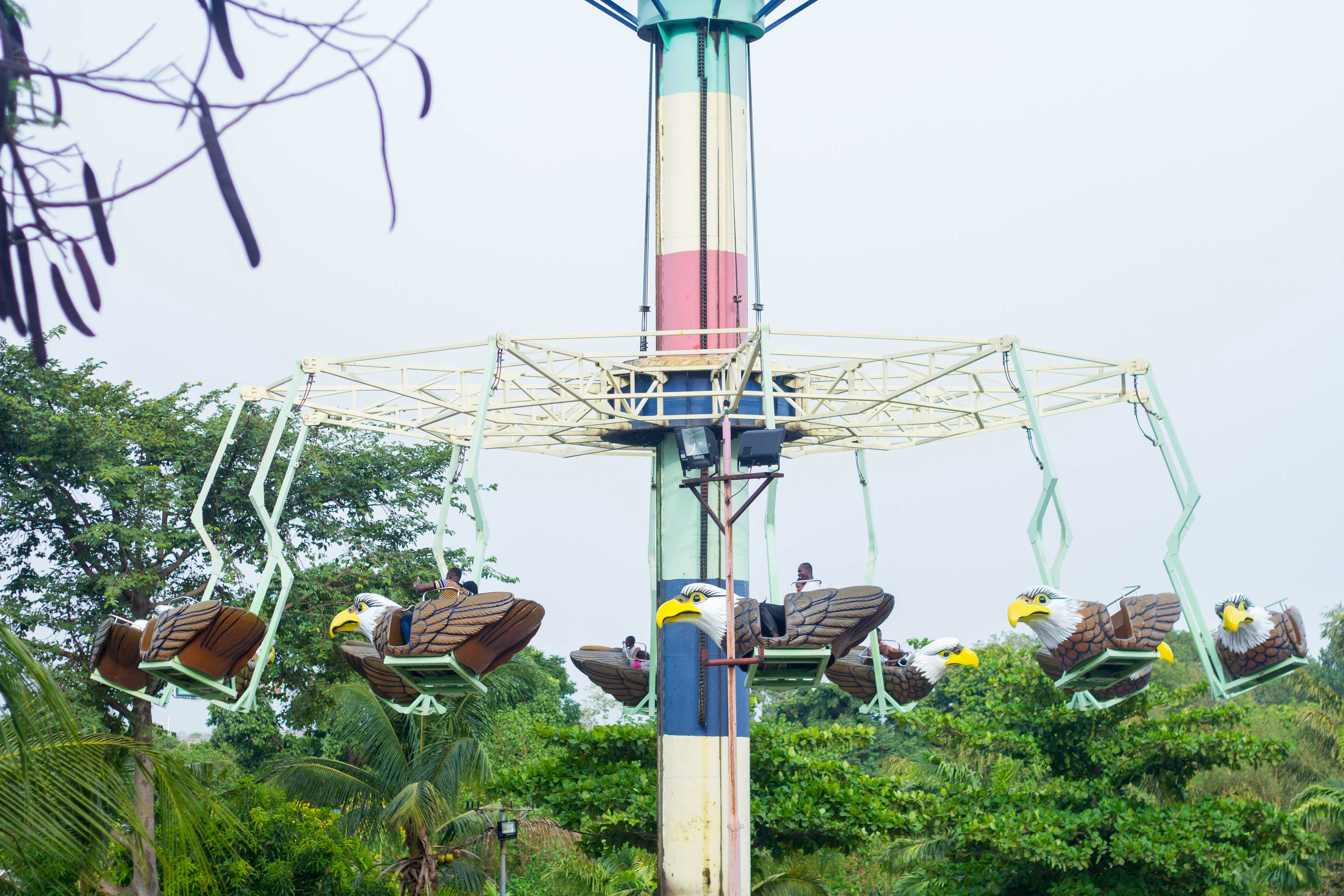 Amusement park ride featuring seats designed as eagles, suspended from a colorful tower amidst lush greenery.