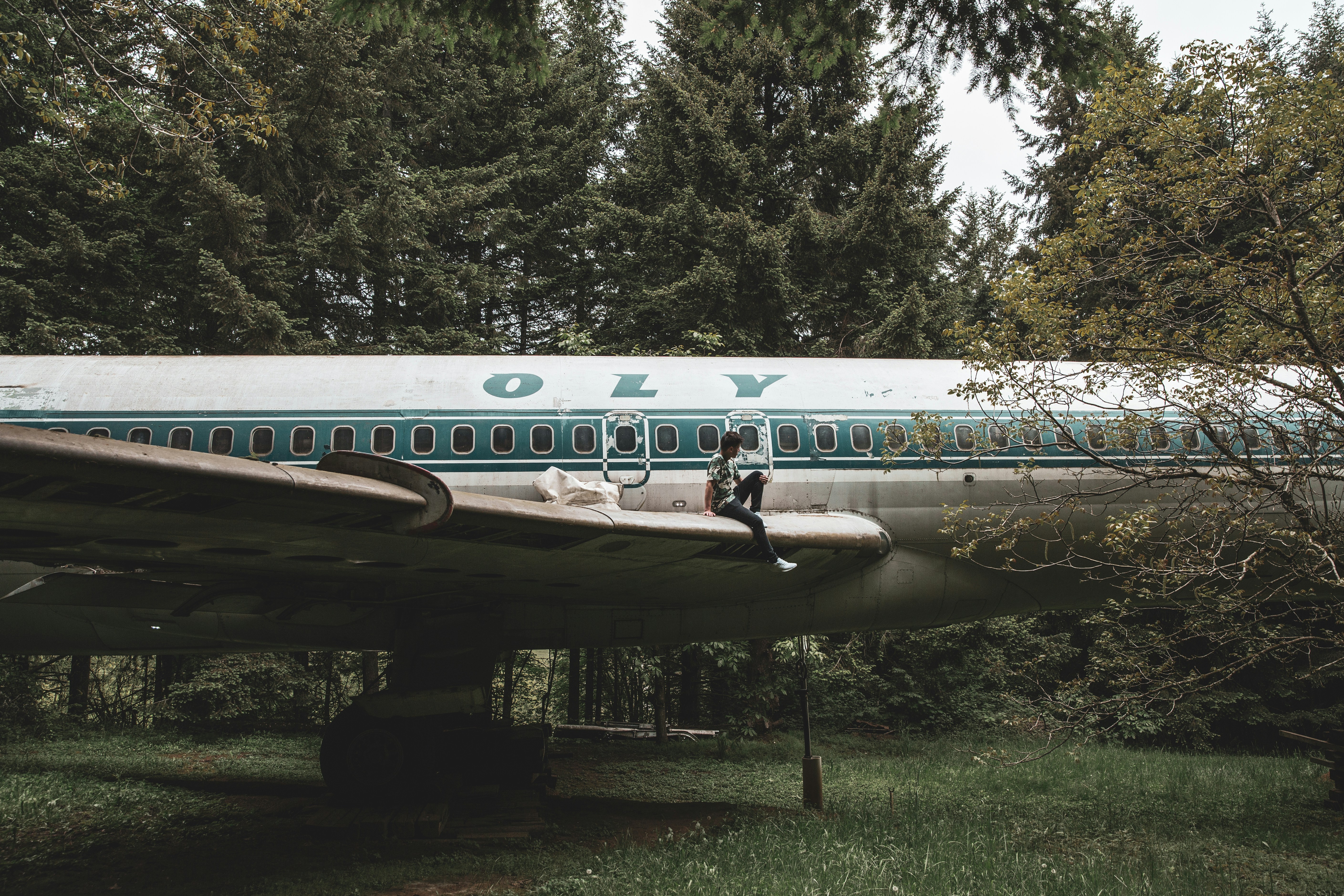 Man sitting on white and green jetliner wing photo – Free Grey Image on ...