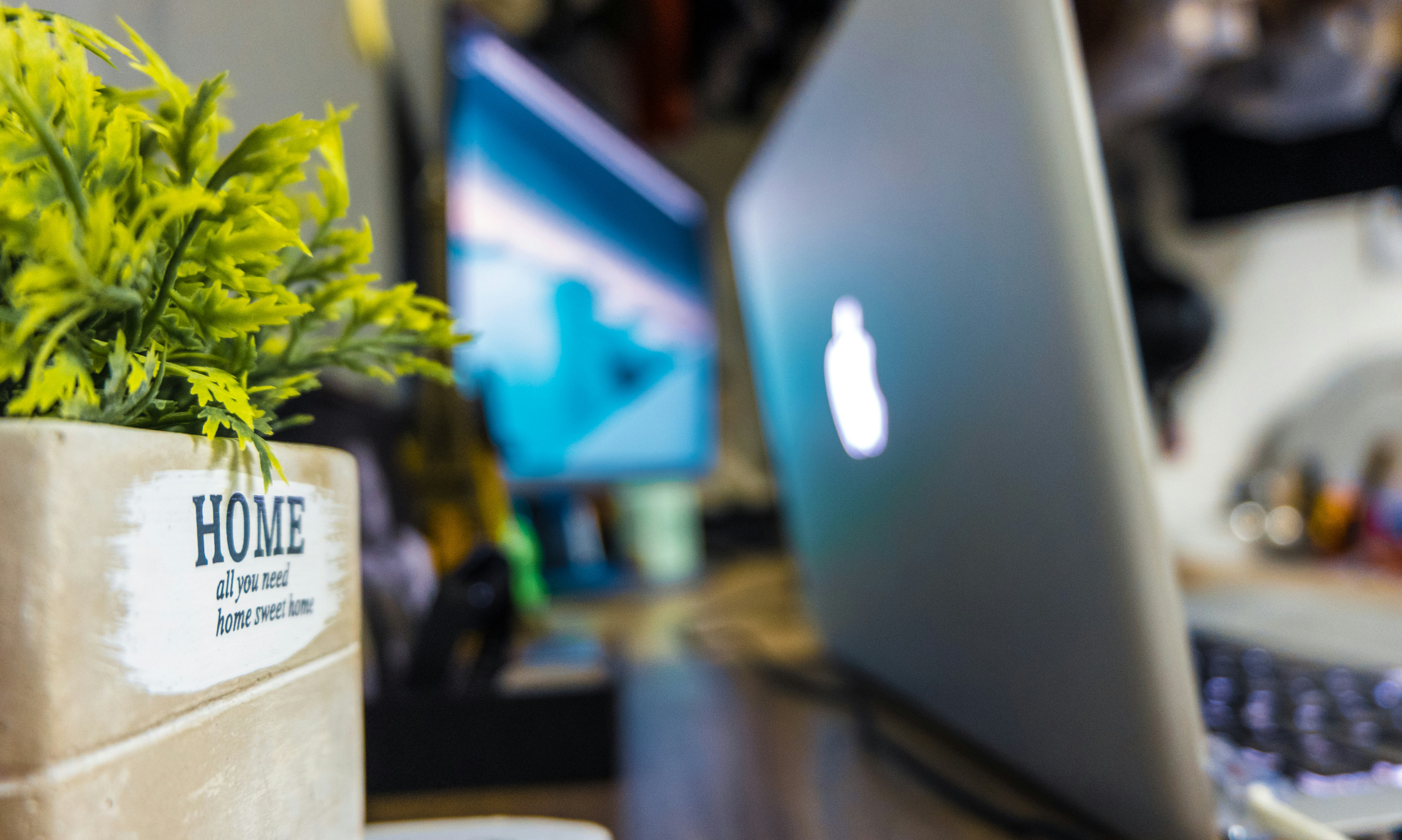 Close-up of a MacBook on a desk beside a small potted plant with a blurred monitor in the background.