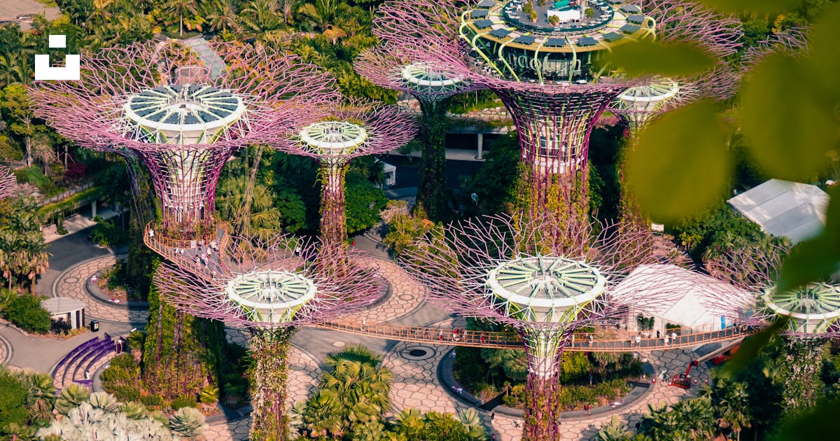 가든 바이 더 베이 싱가포르 사진 Unsplash의 무료 가든스 바이 더 베이 Gardens By The Bay 이미지